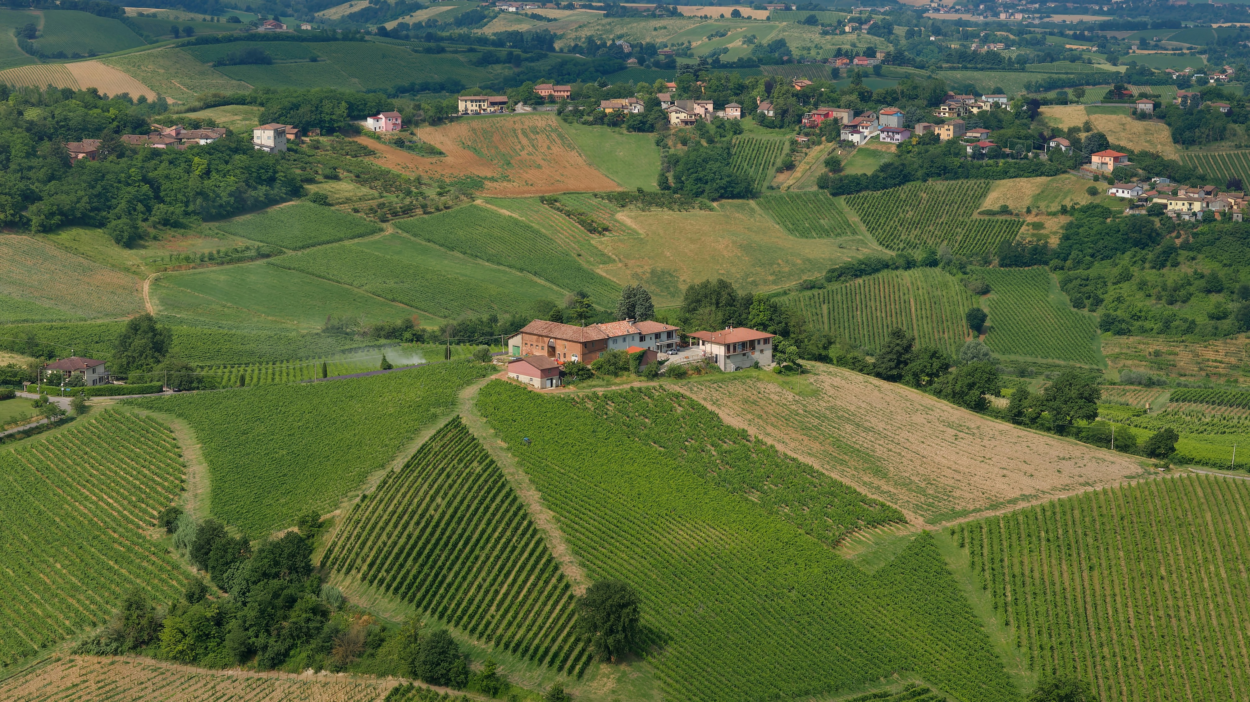 Green vineyards and a farmhouse on rolling hills.
