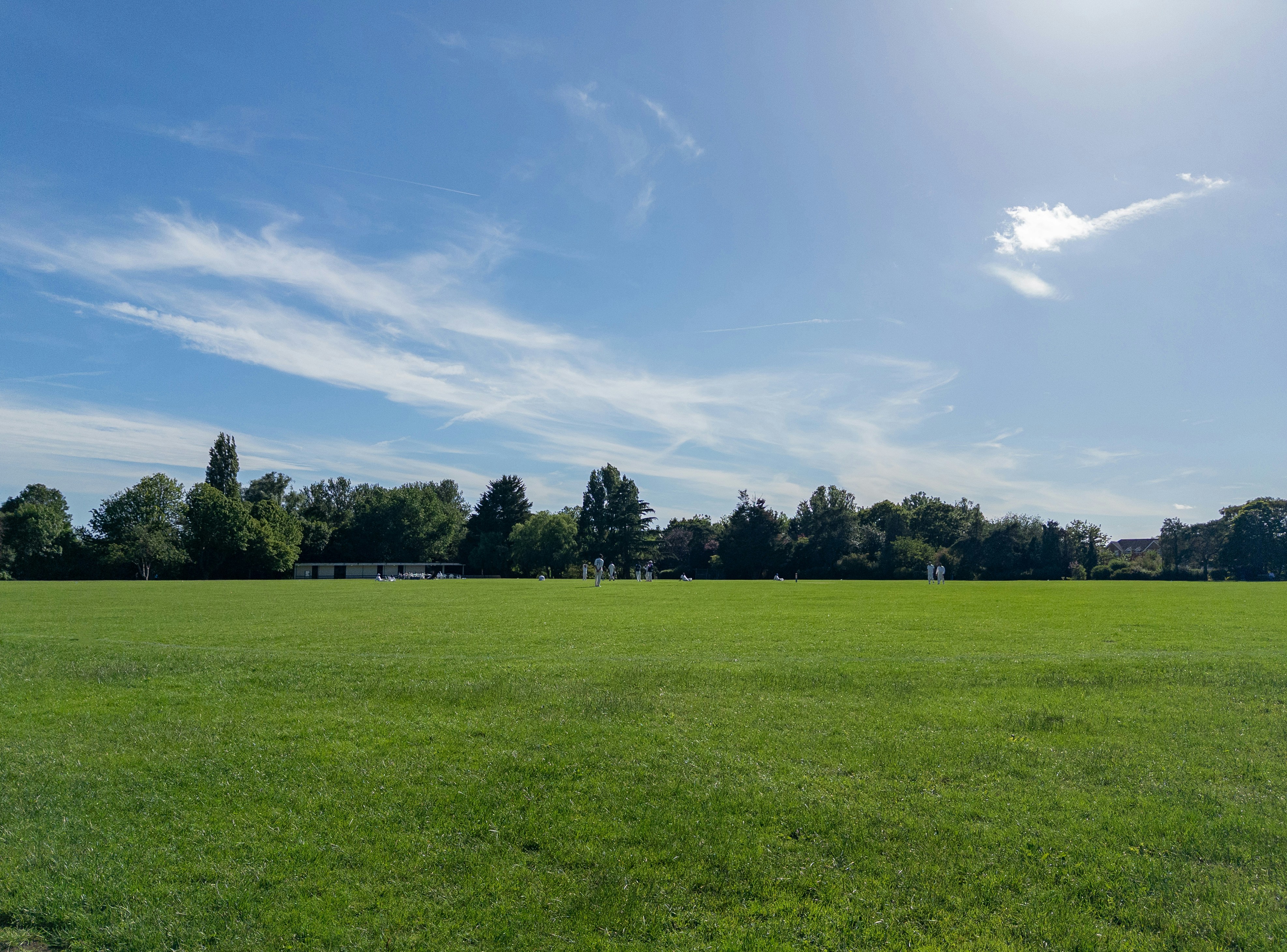 A wide green field under a bright blue sky.