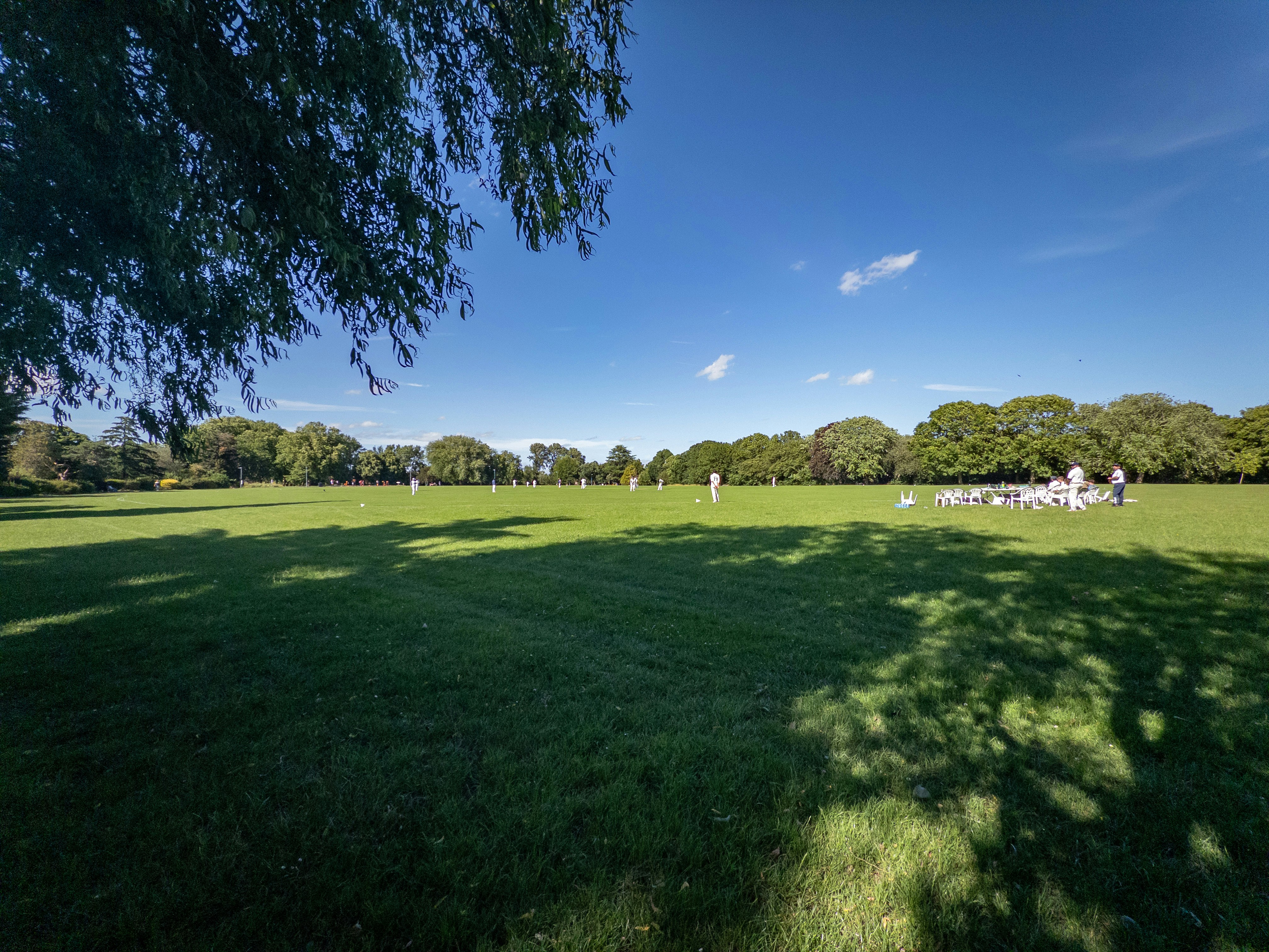 People enjoying a sunny day in a large green park.
