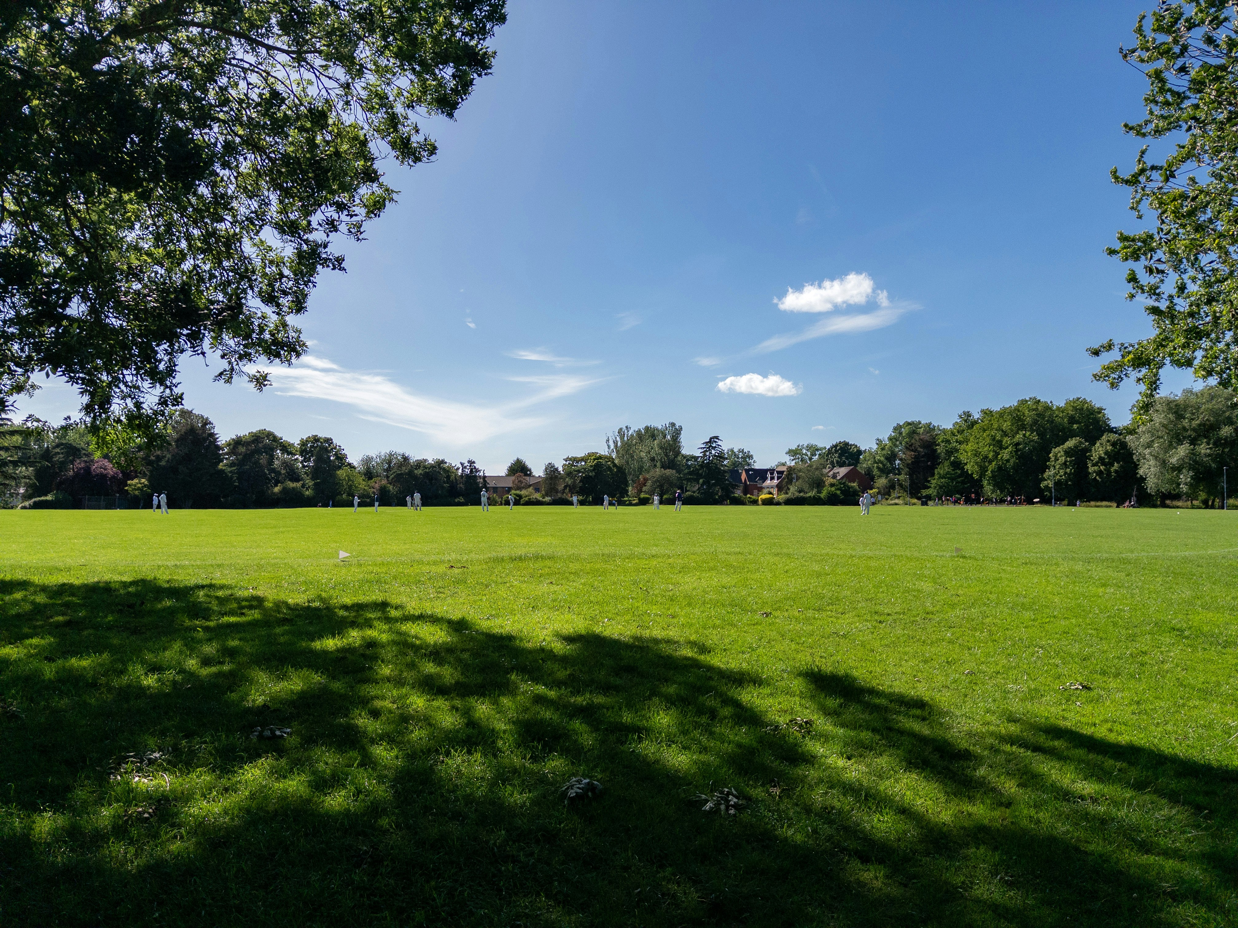 Sunny green field framed by trees under a blue sky.
