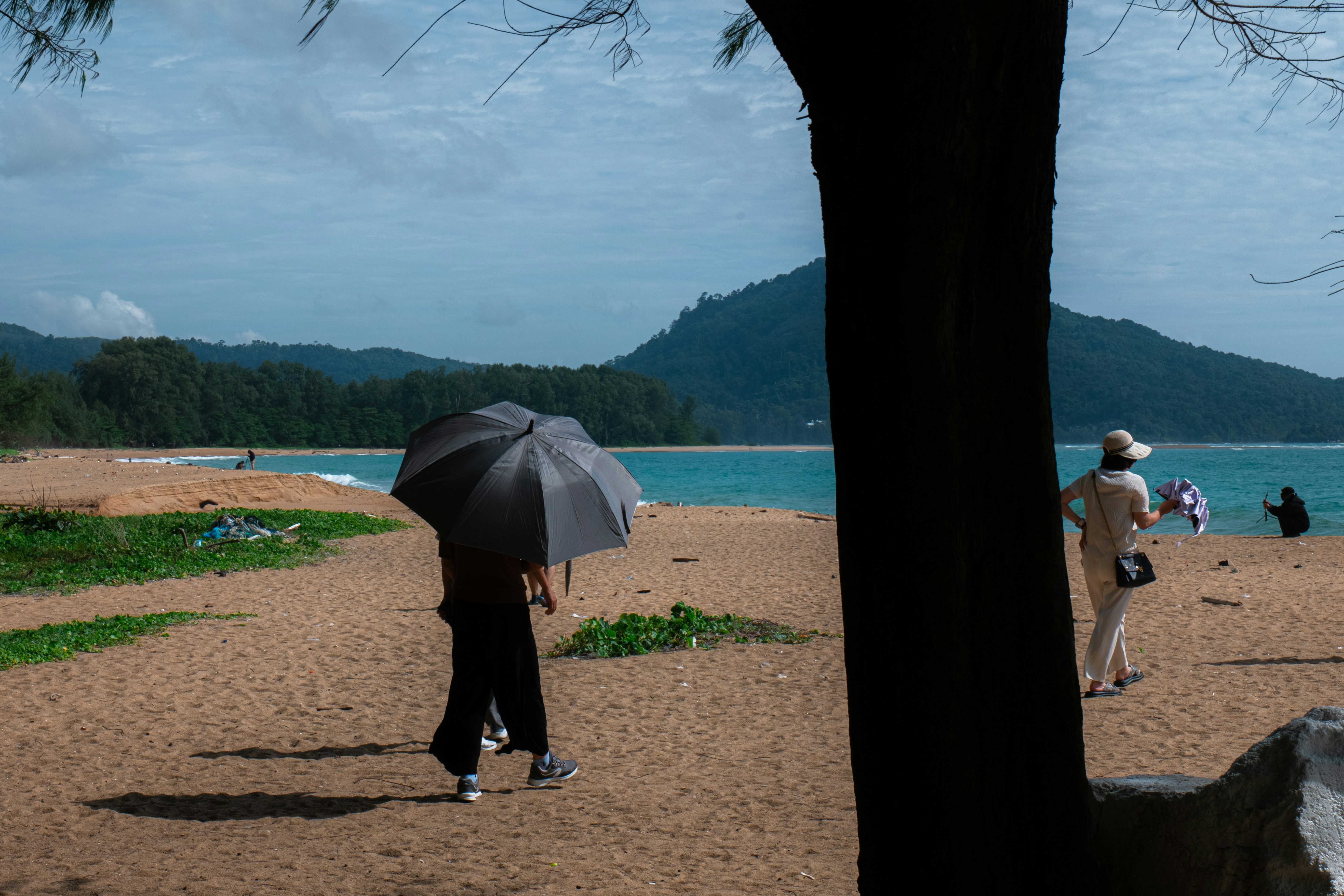 Tourists with Umbrella Walking on Tropical Sand Beach Framed by Pine Trees with Coastal Mountain Background