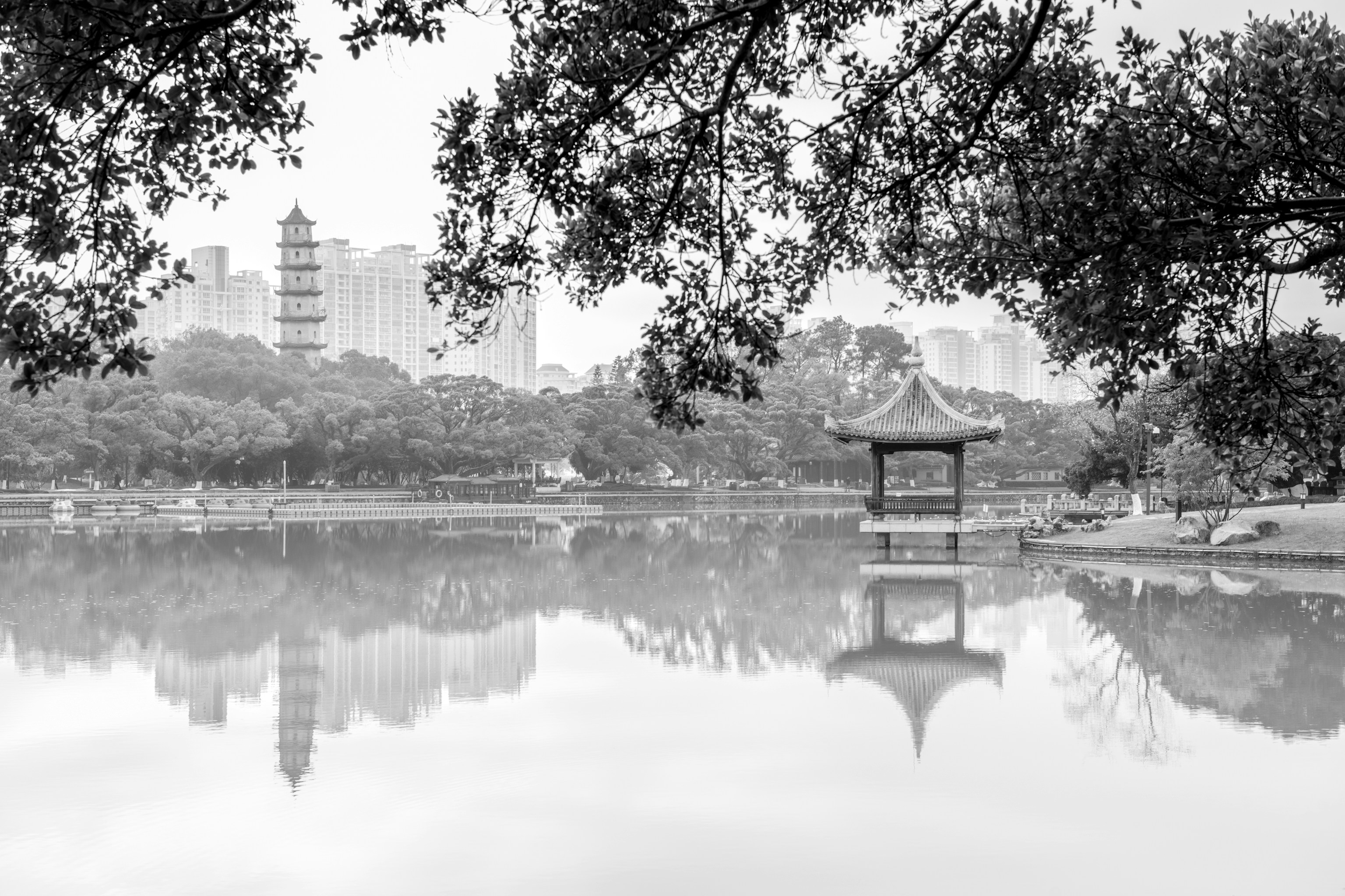 Silent Pavilion Over Water: A Taichi of Trees and Reflections