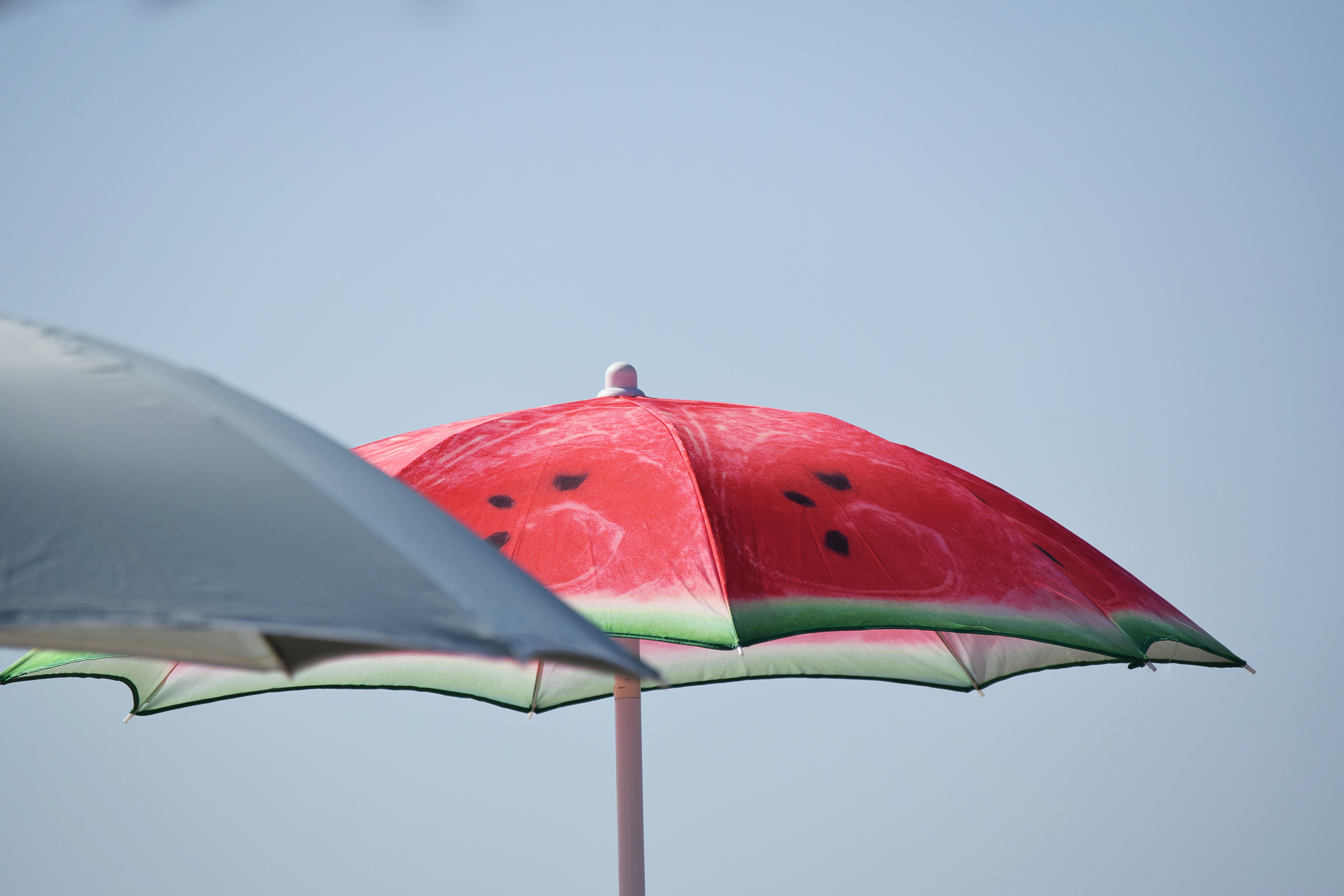 Watermelon Umbrella Against a Clear Sky