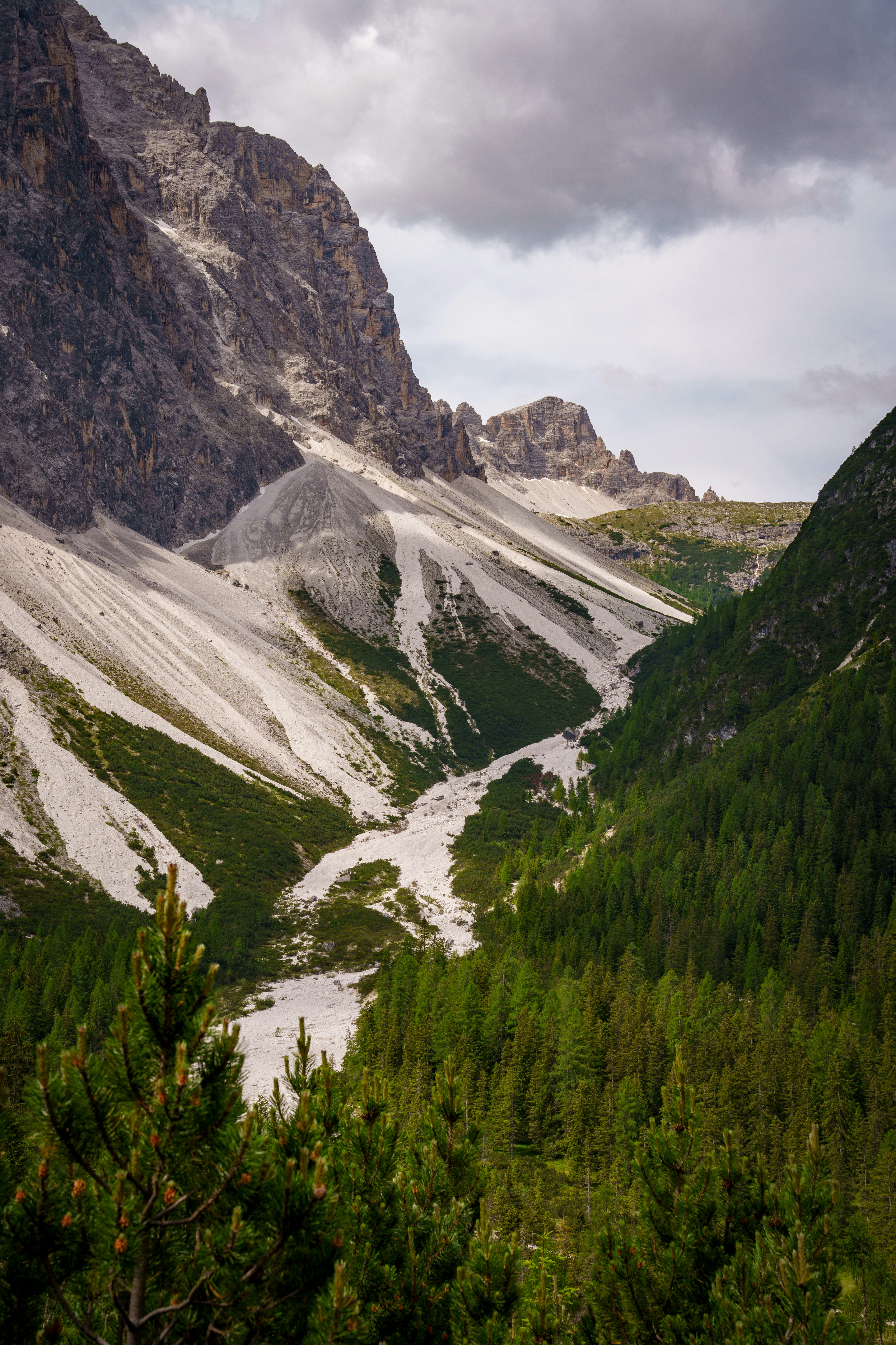 Snow-veined Cliffs Carve a Green Valley