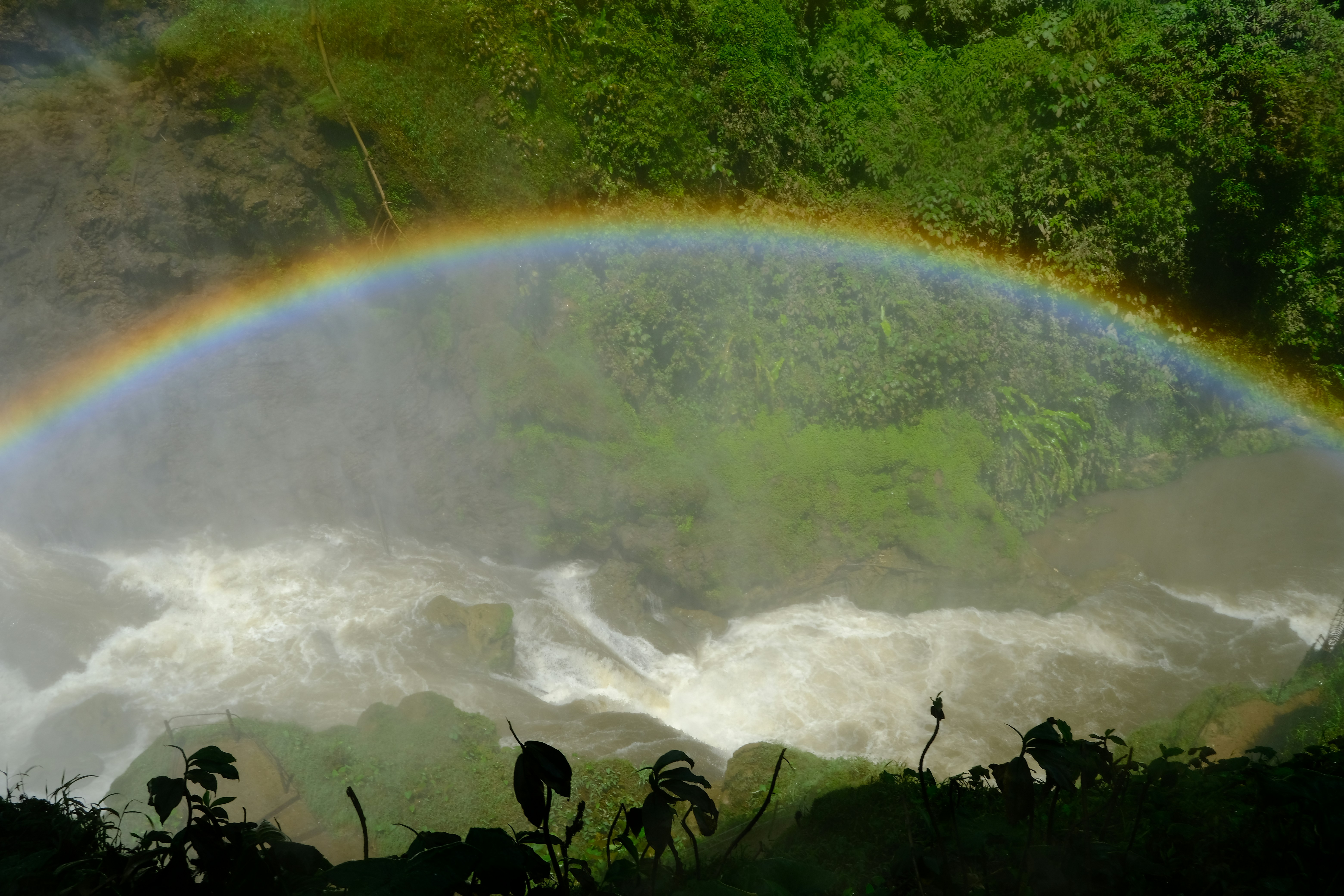 Rainbow Over a Forested Gorge