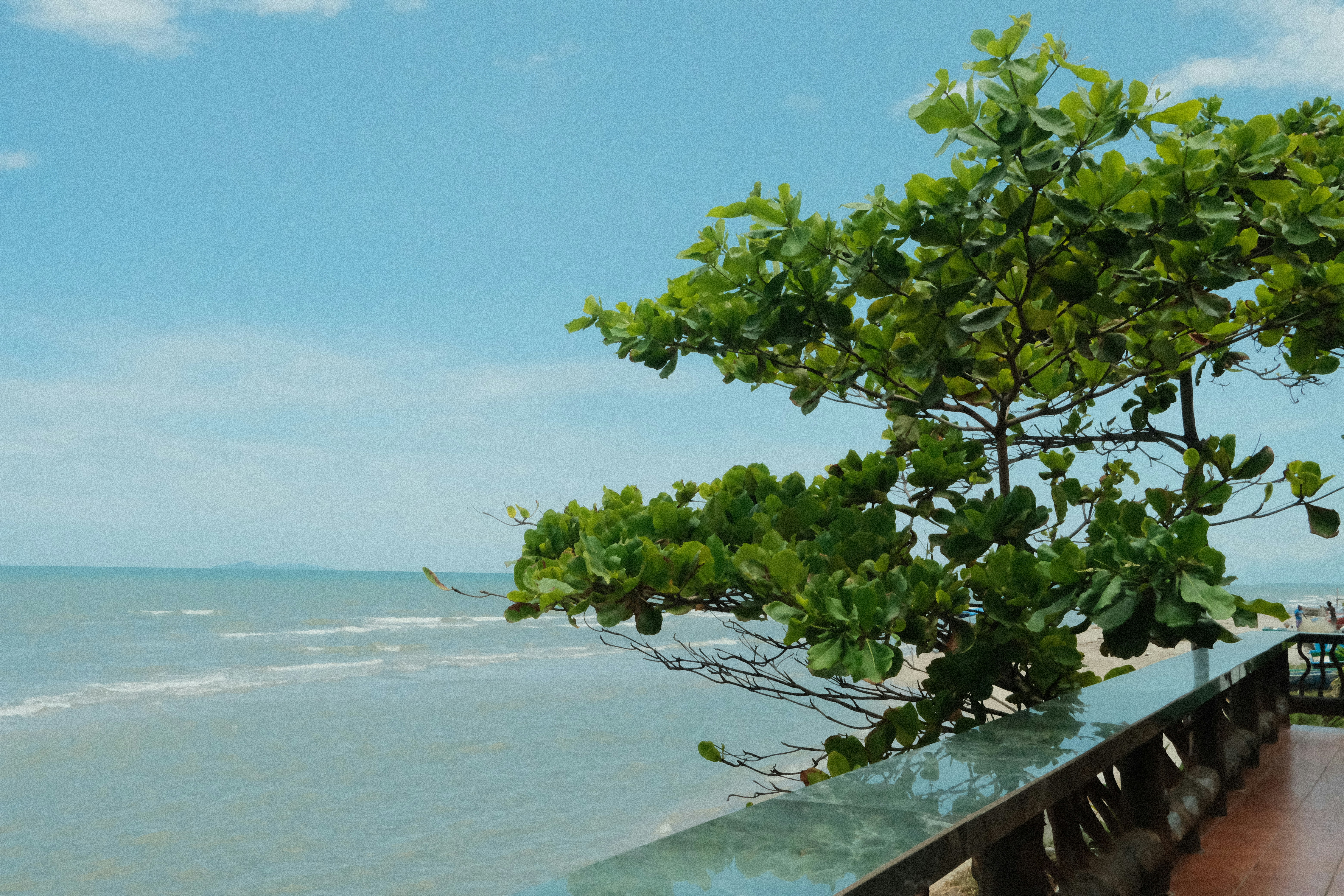 Coastal Reach: Sea Breeze and Rooftop Rail