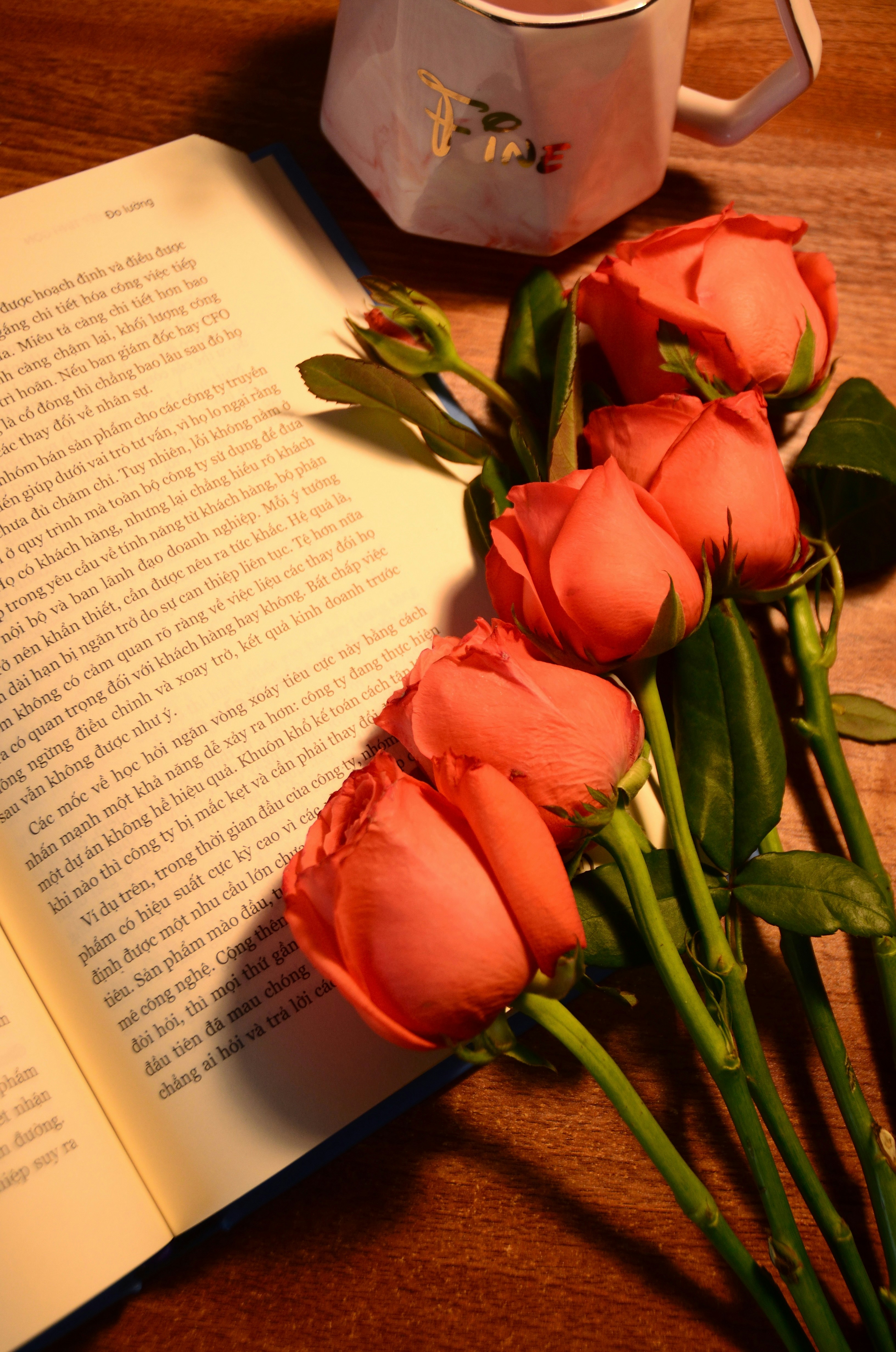 Copper-Toned Quietude: Roses Resting by an Open Page
