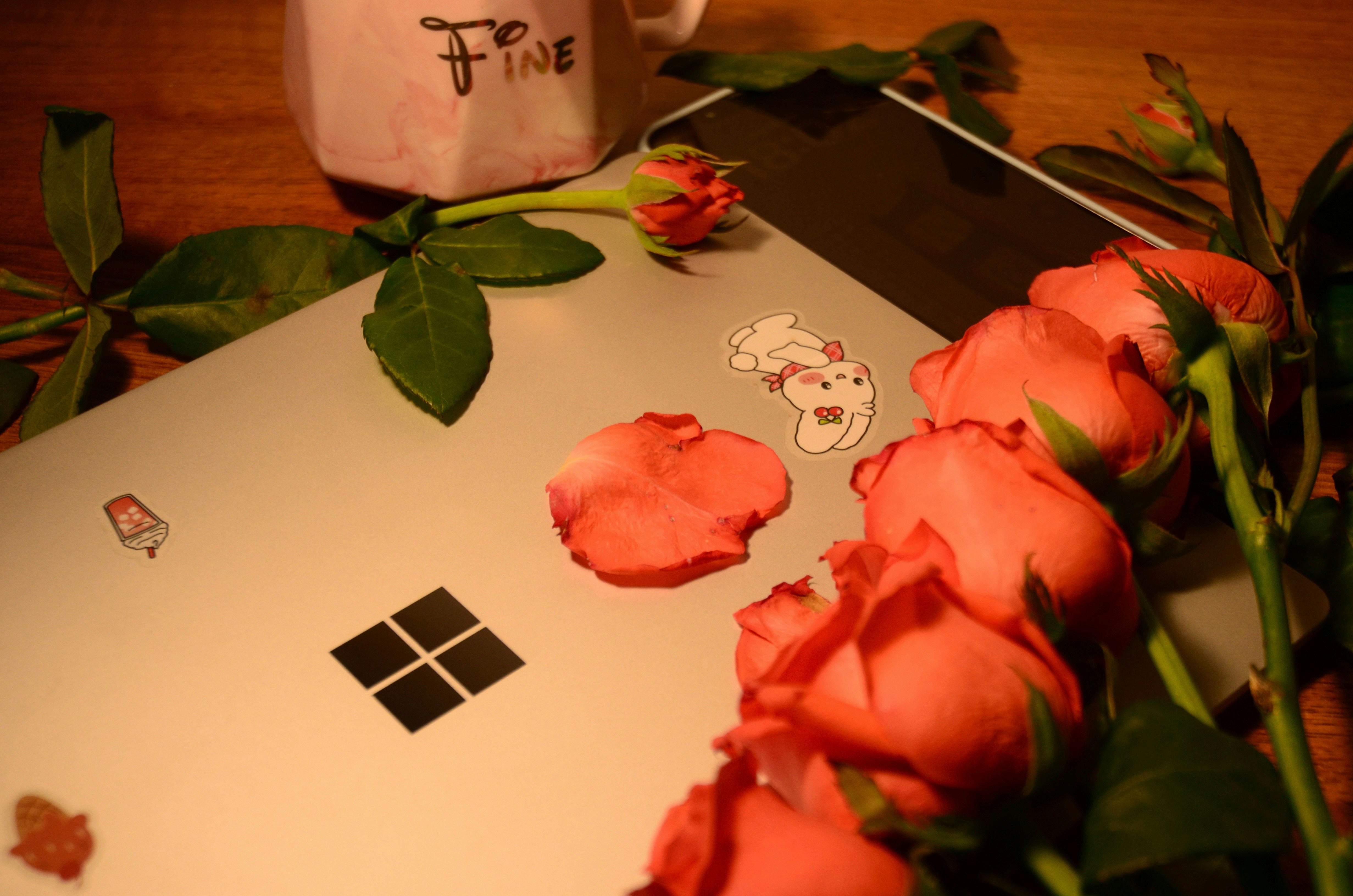 Roses on a Laptop: A Quiet Studio Moment