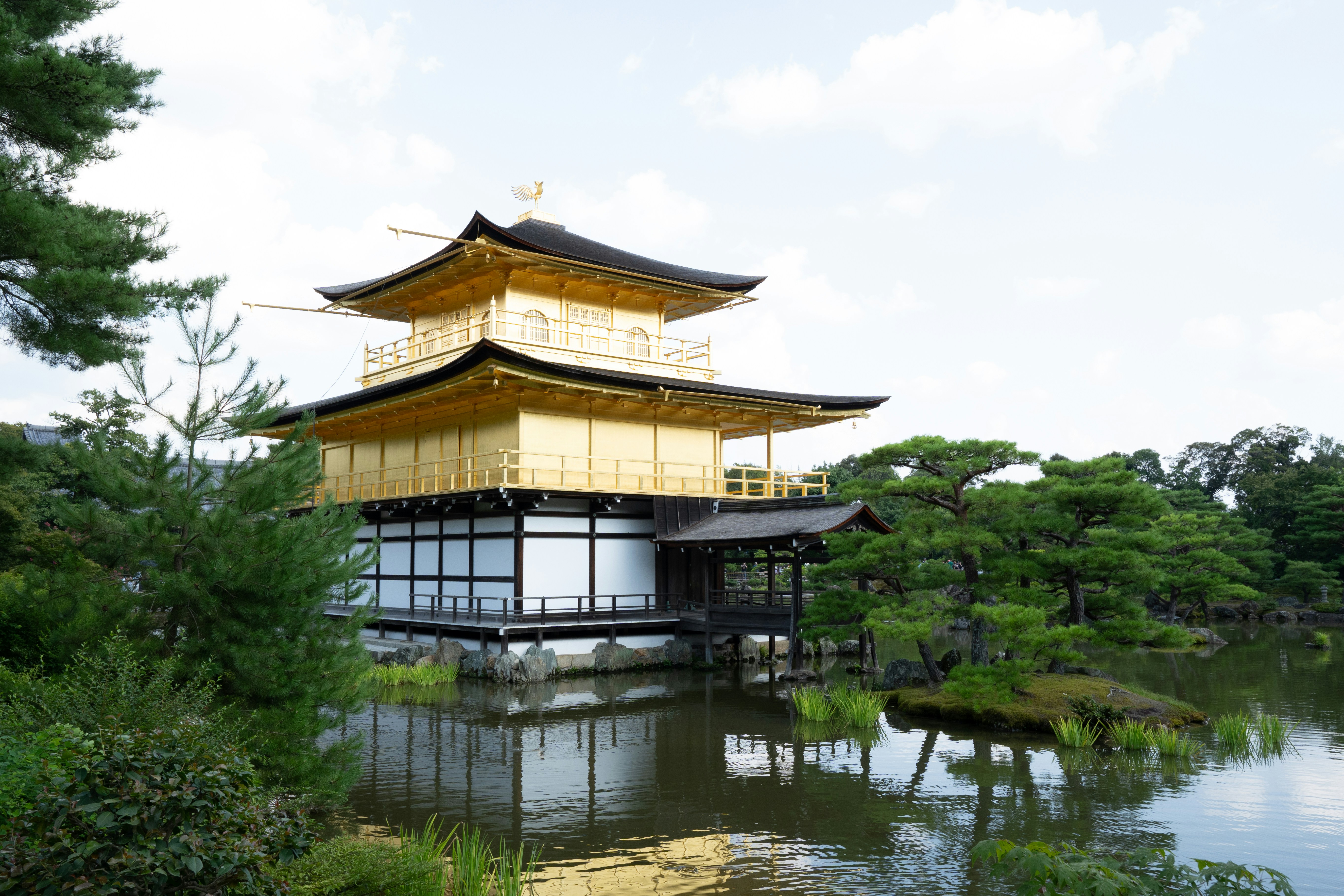 Golden Pavilion at Water's Edge: A Kinkaku-ji Moment