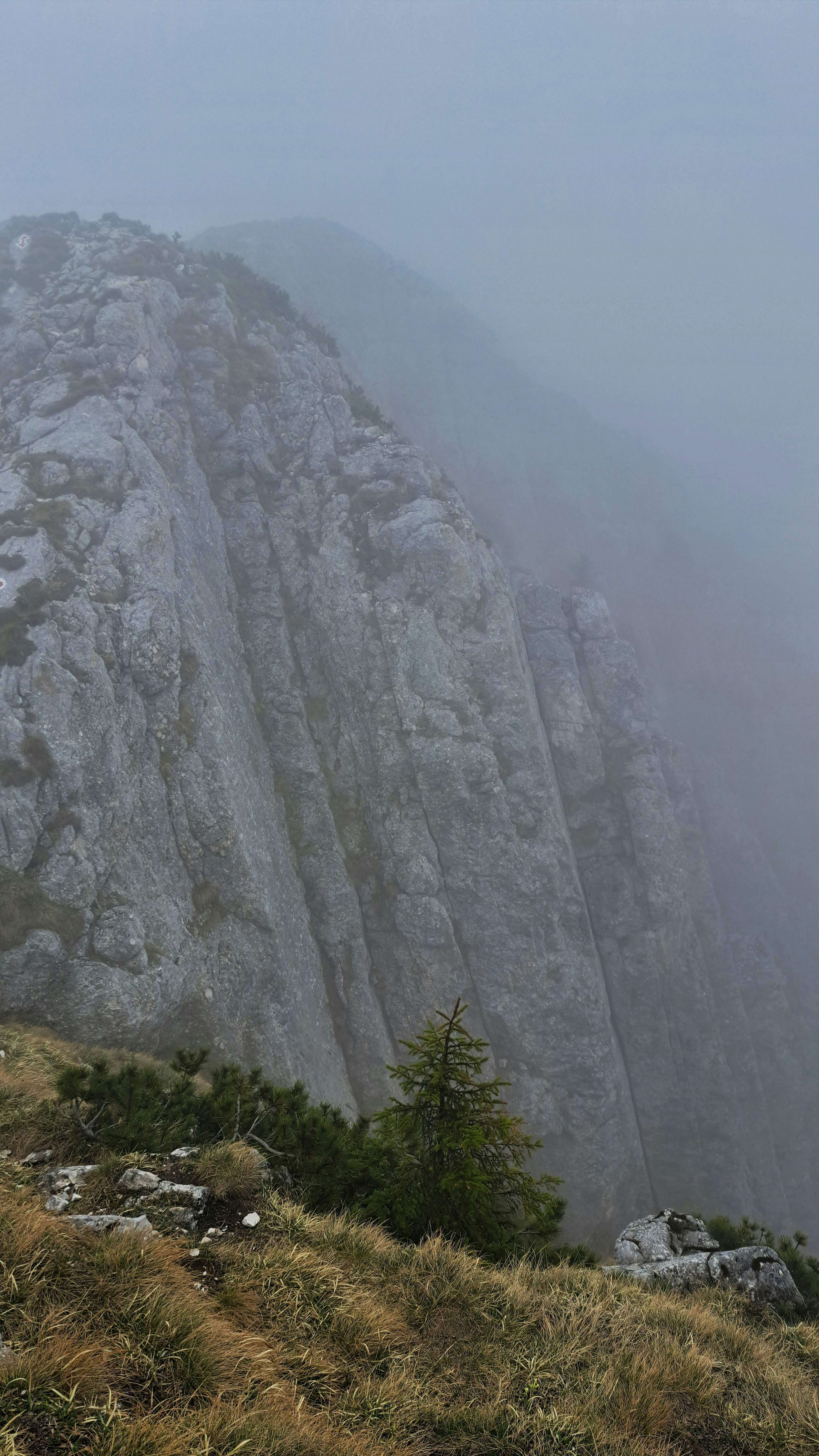 Edge of the Mist: Limestone cliffs vanish into blue haze