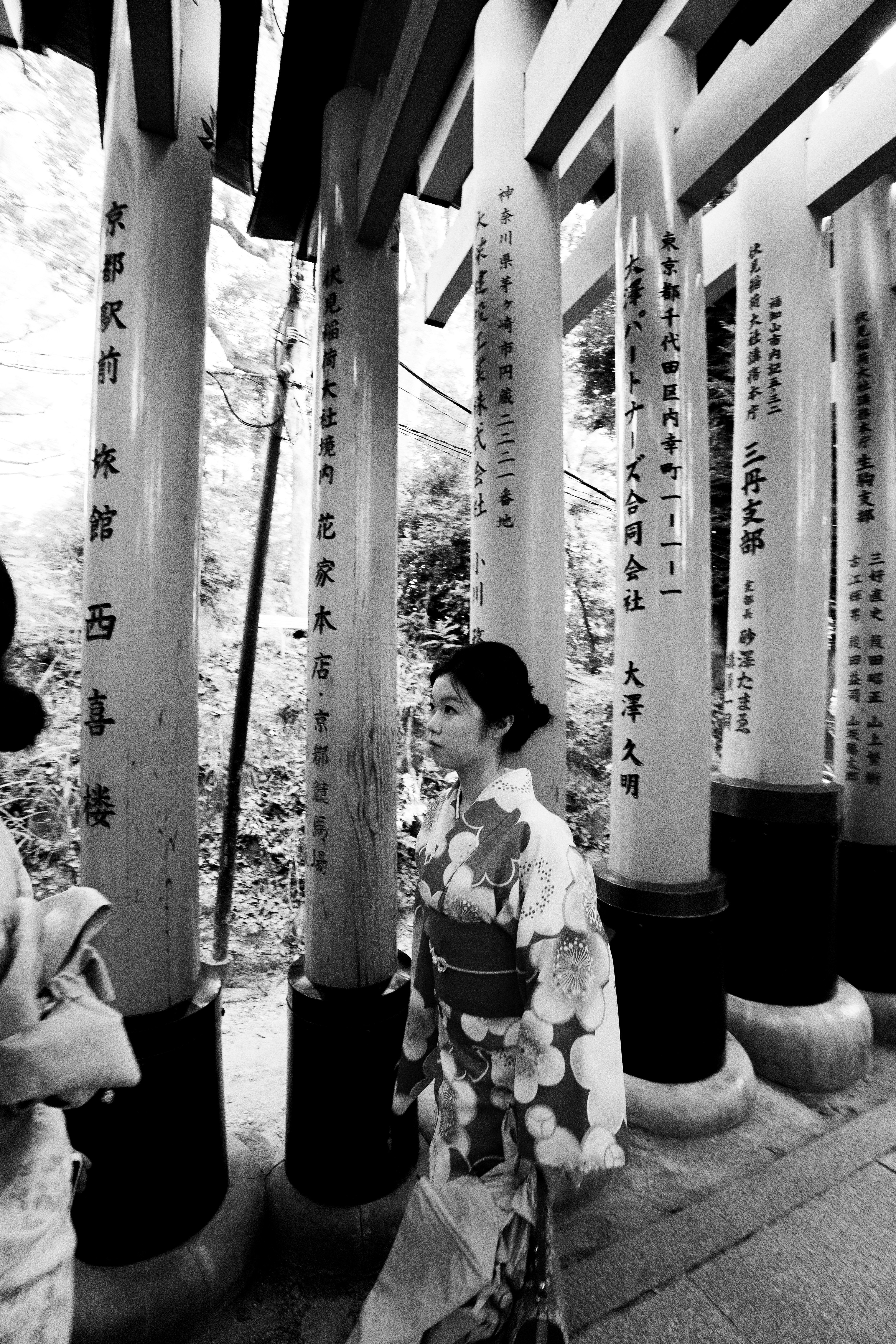 Silhouette of a Kimonoed Traveler Beneath Torii Columns