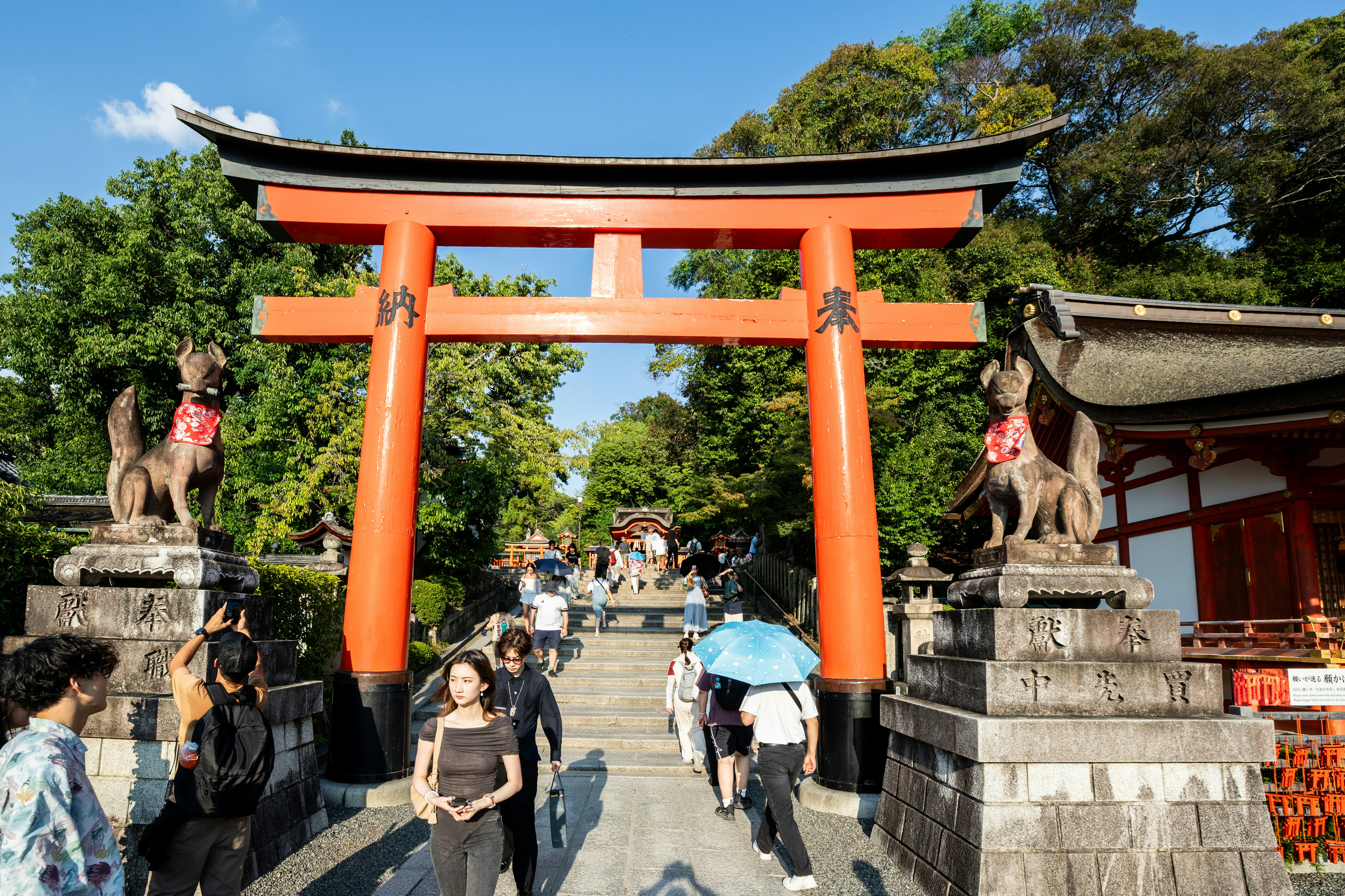 Gateway to the Shrine: A Vibrant Torii and Komainu Path