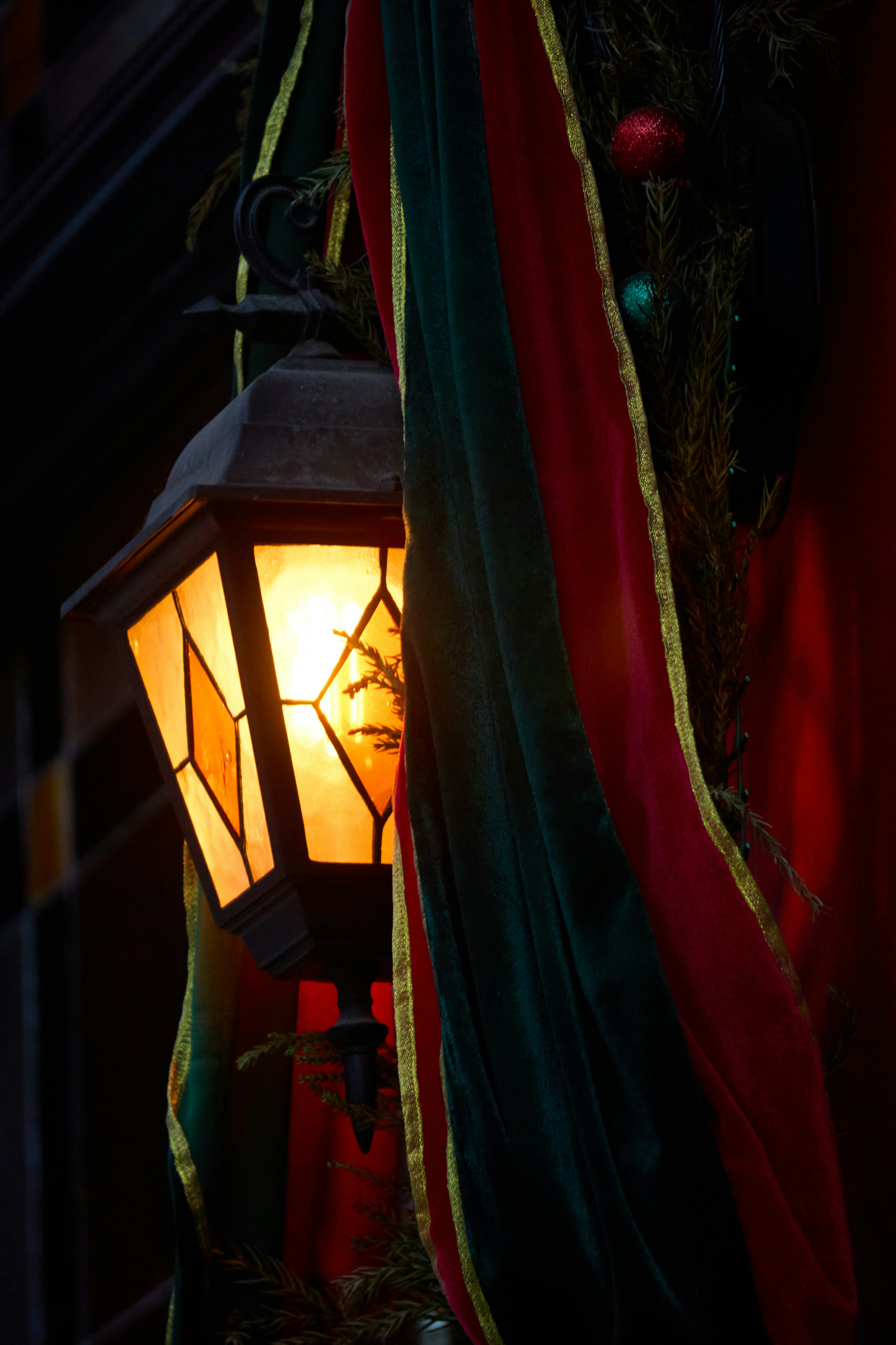 Glow Amid Velvet Strands: A Lantern’s Quiet Flaunt