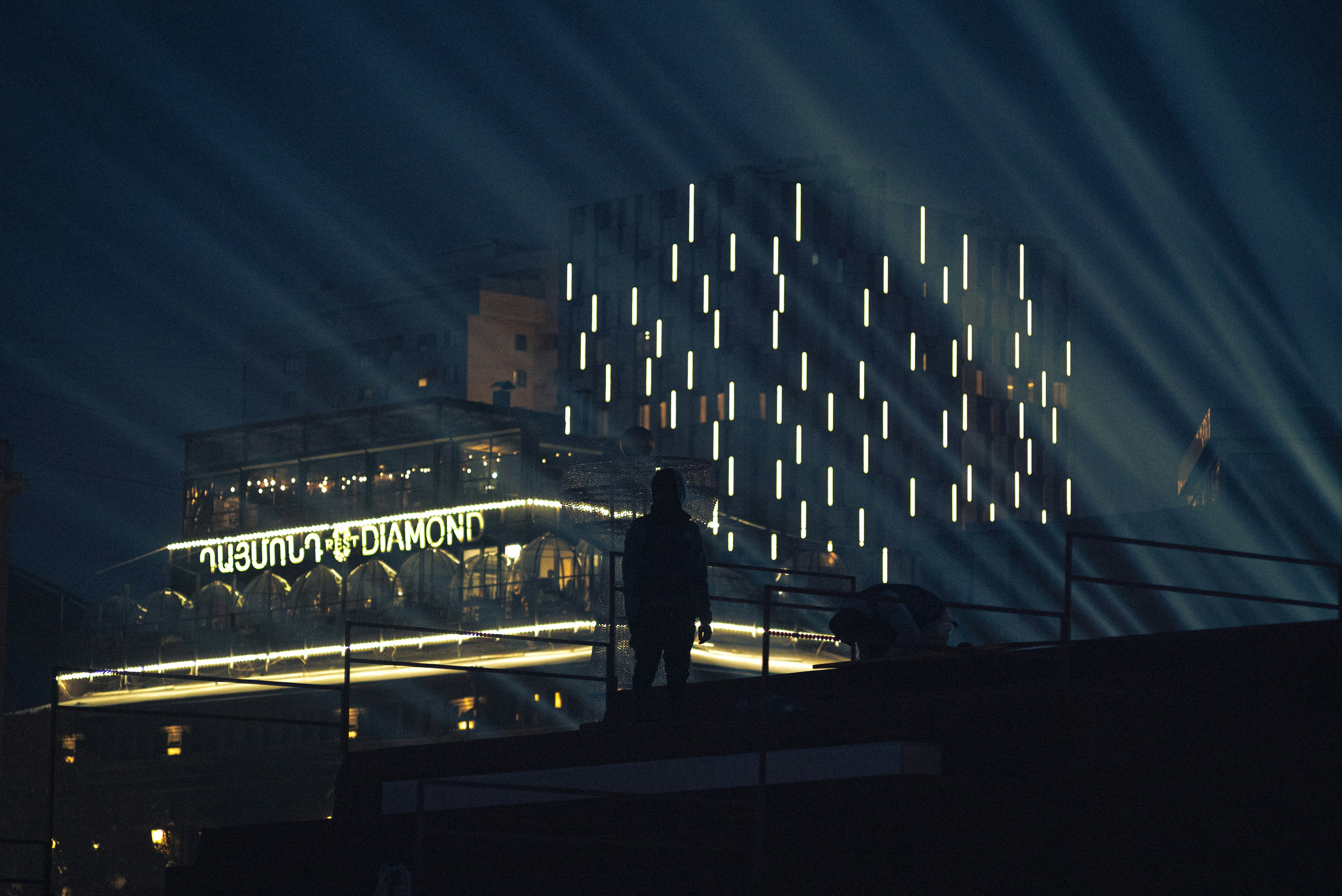 Rooftop Nightscape: Neon Echoes and Silent Figures
