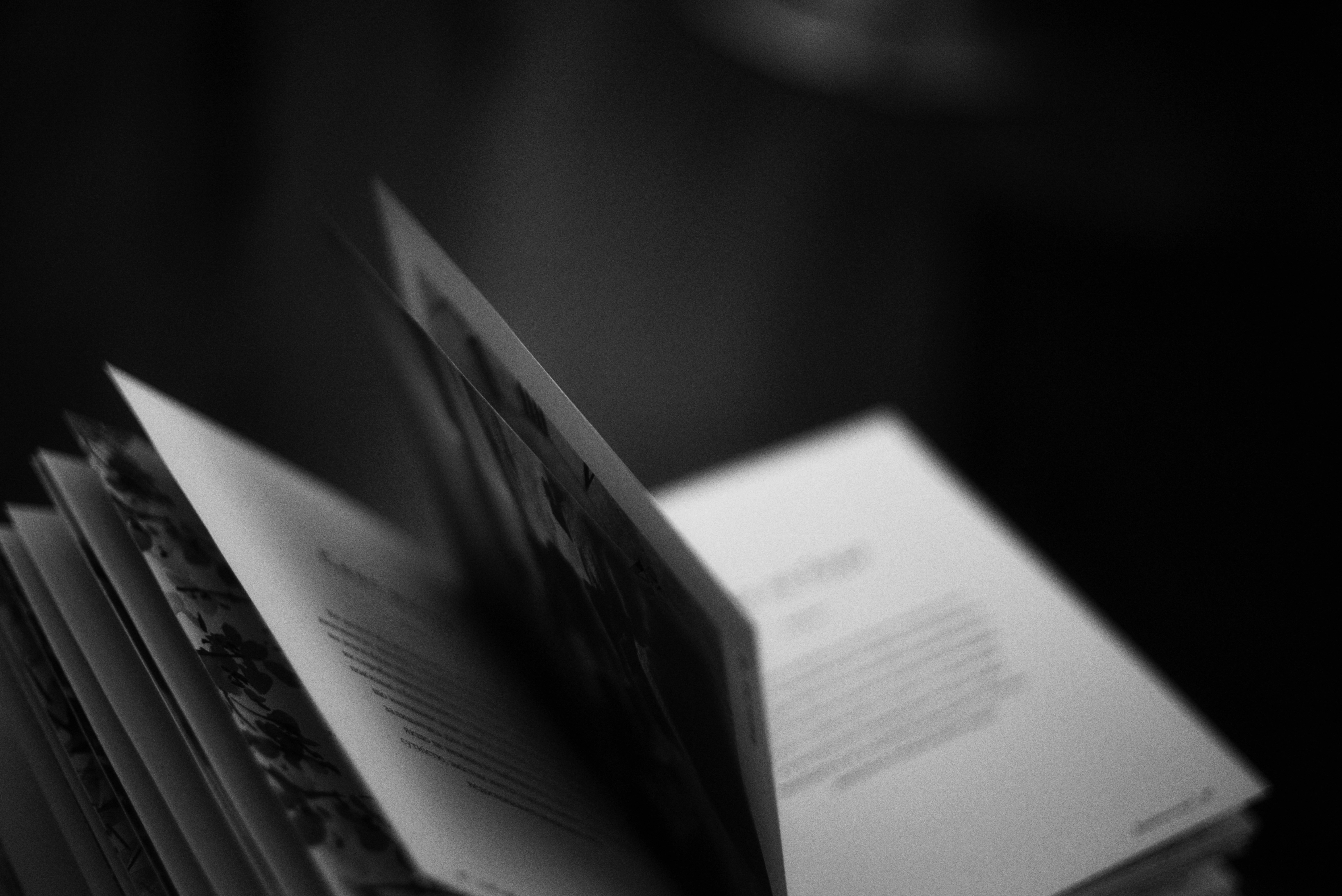 Open Pages in Soft Focus: A Quiet Moment with a Photobook