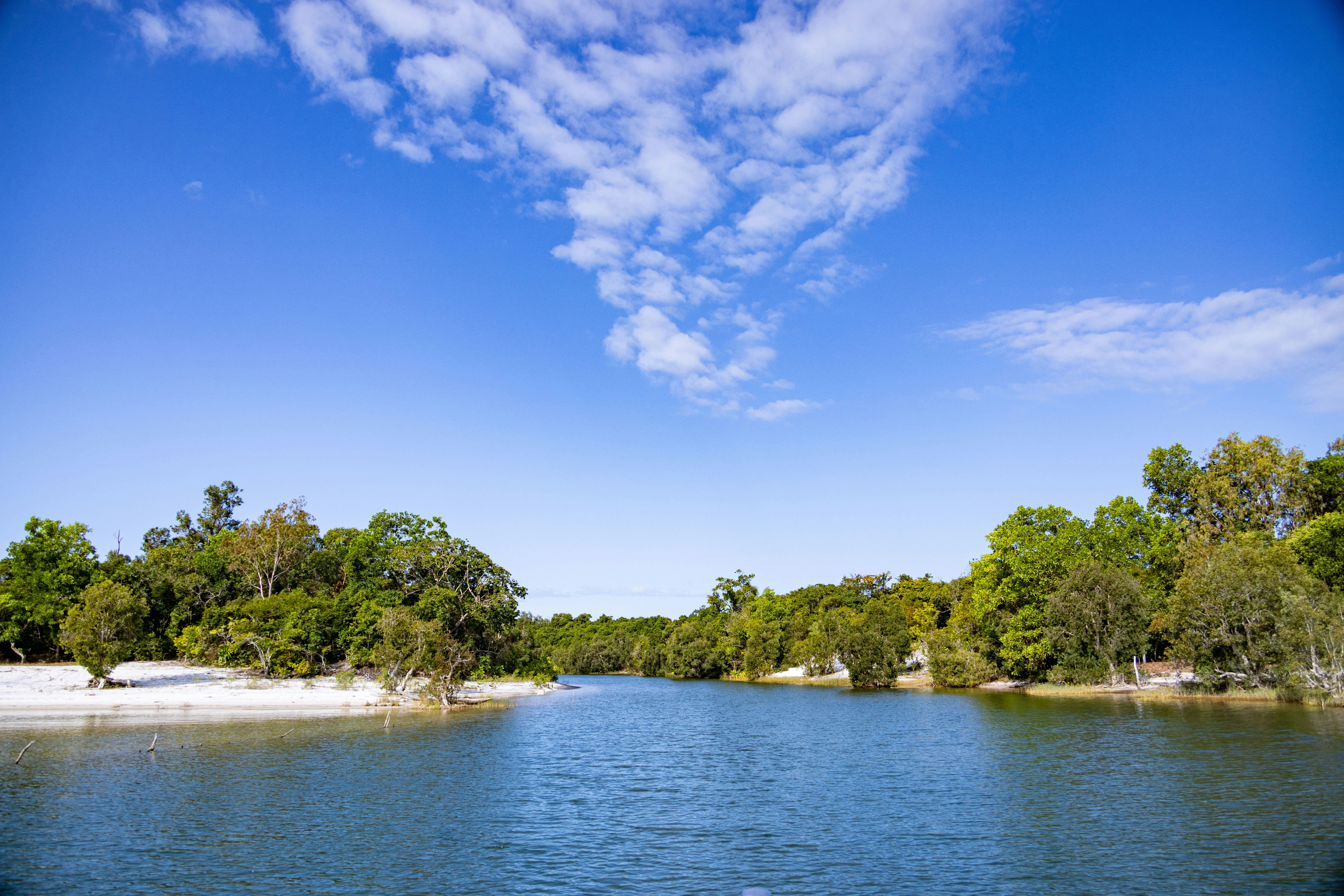 Still Waterways Under a Wide Blue Sky