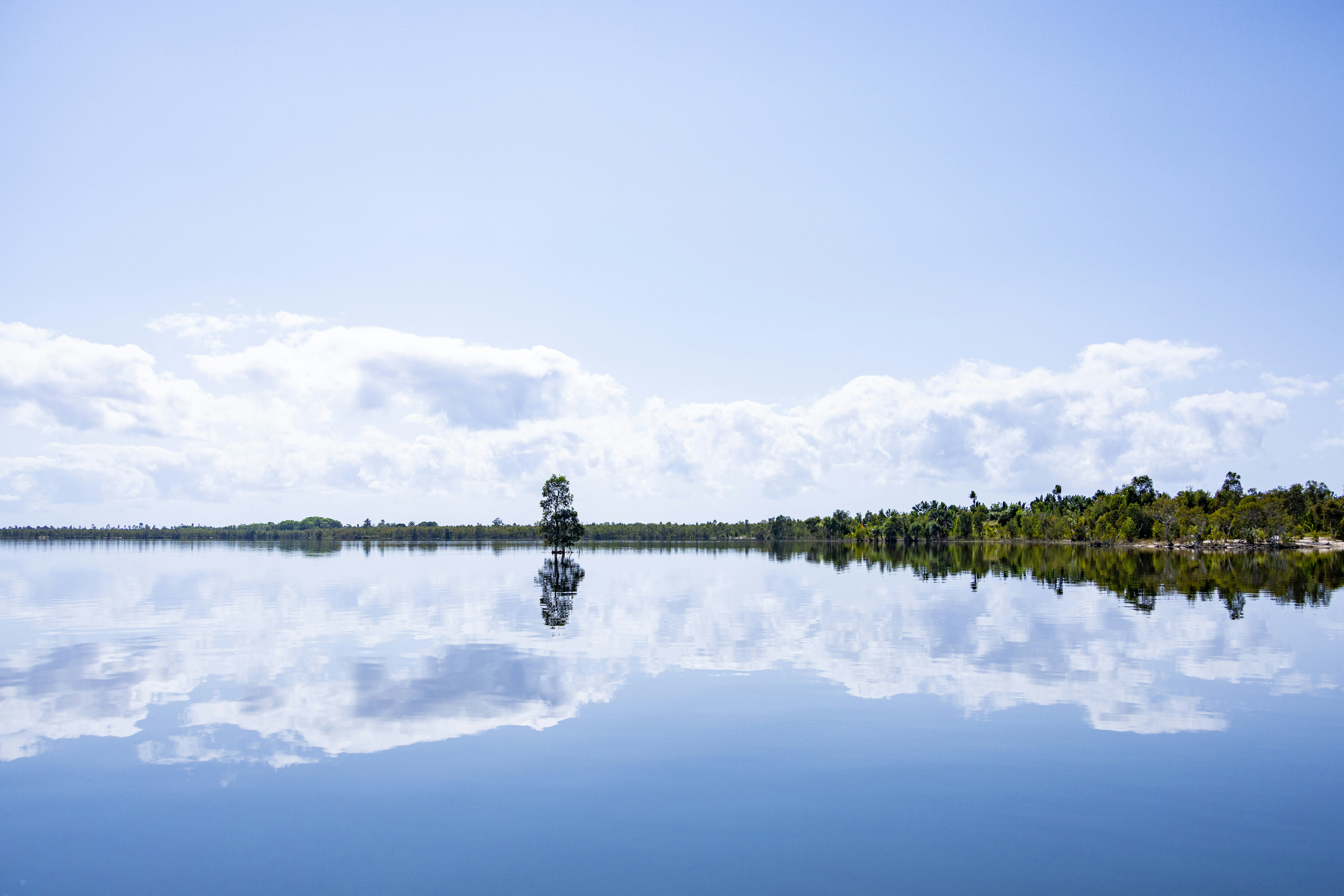 Mirror Sky over Silent Water: A Lone Tree’s Quiet Reflection