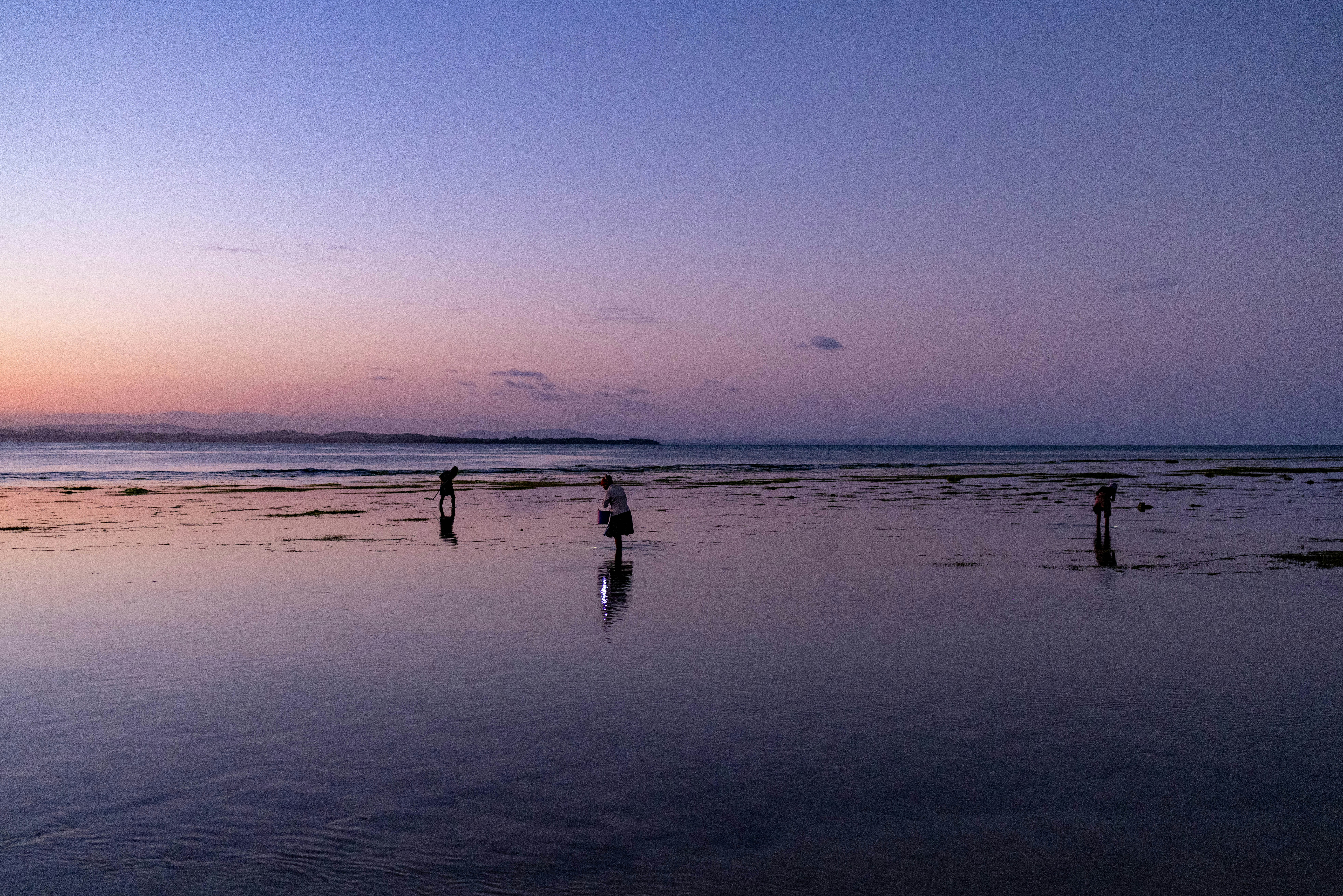 Sunset Silhouettes Over Tidal Glass