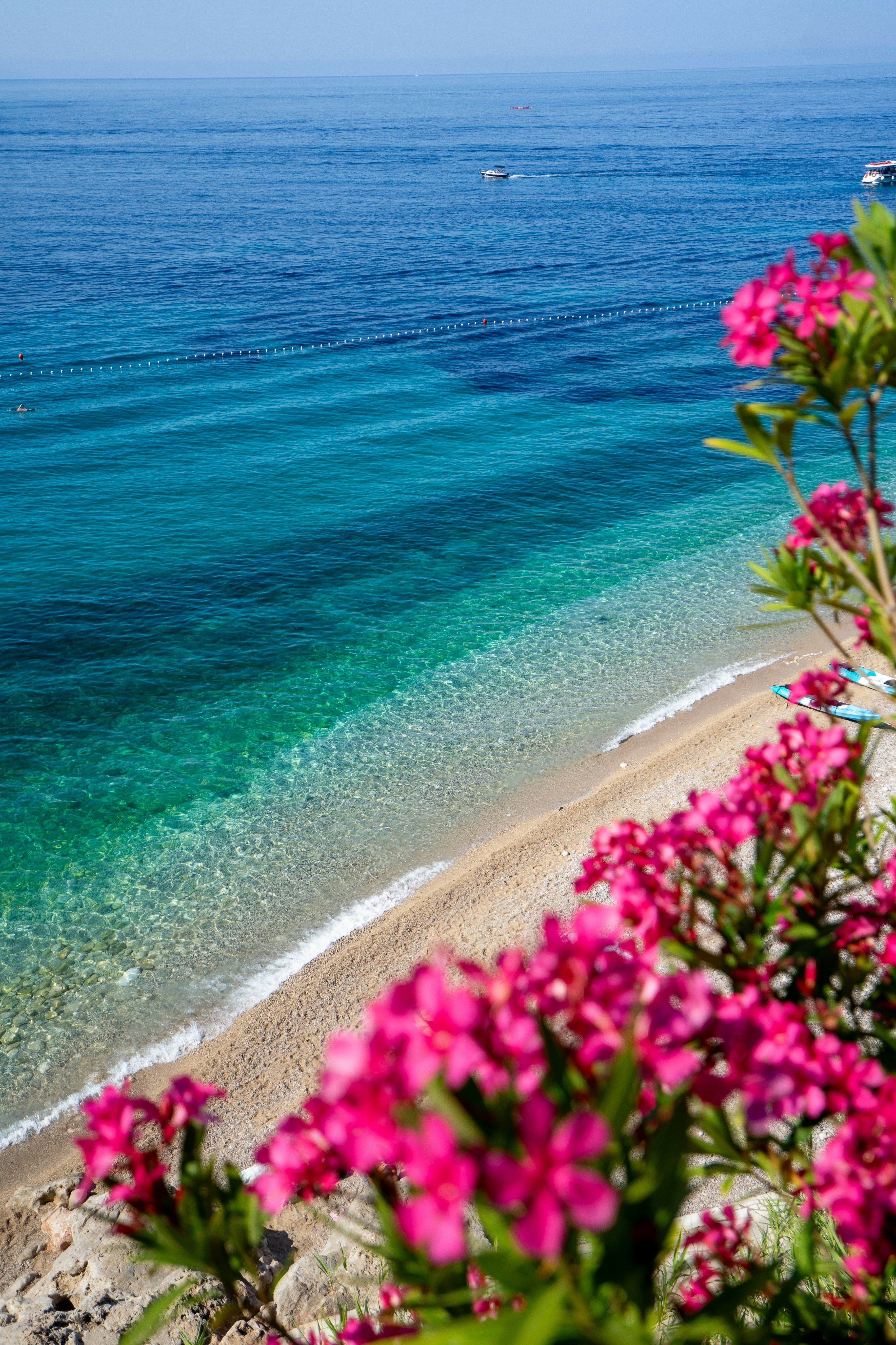 Pink flowers frame a beautiful beach with clear blue ocean.