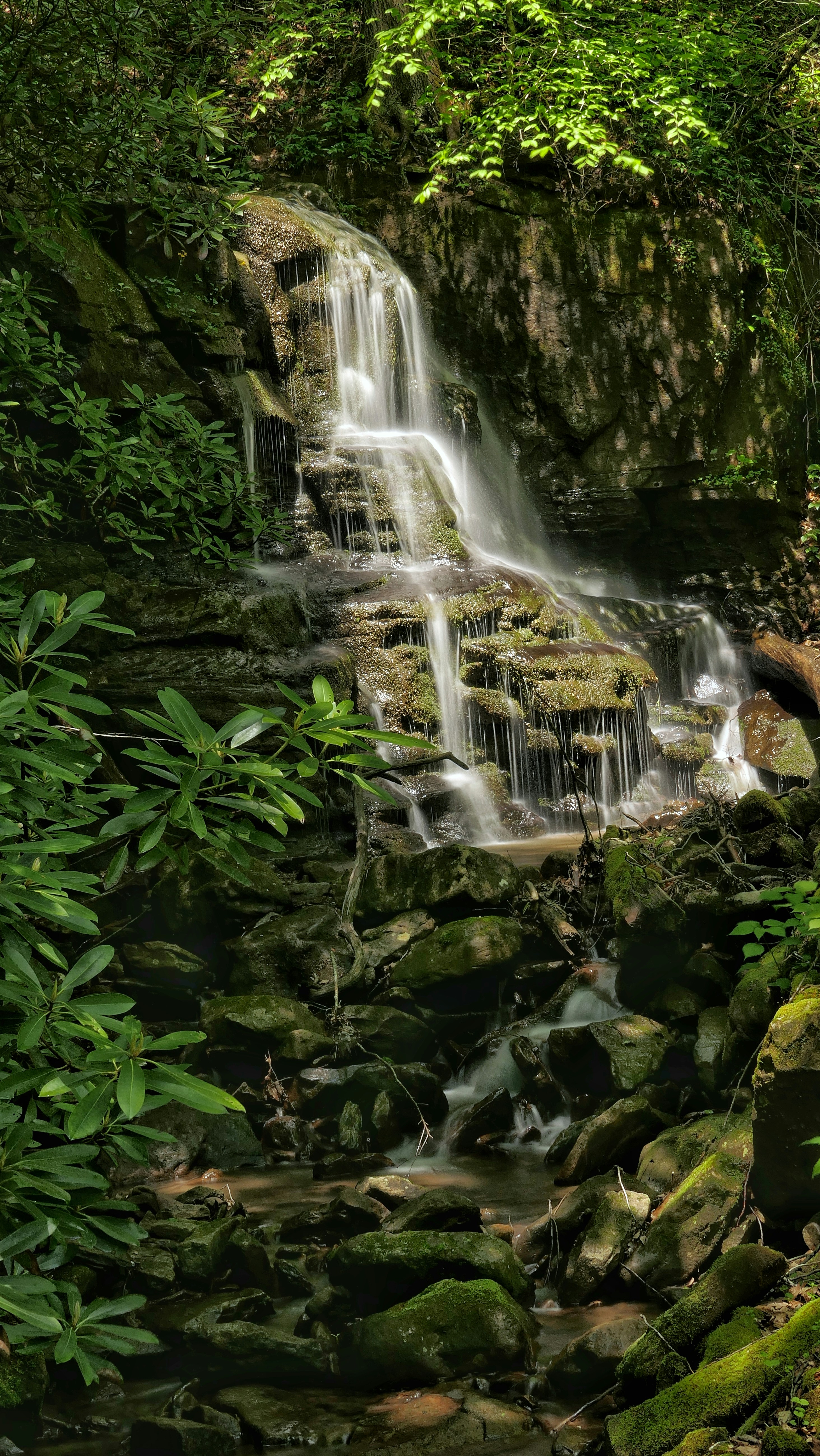 Whispering Cascade Through Green Steps
