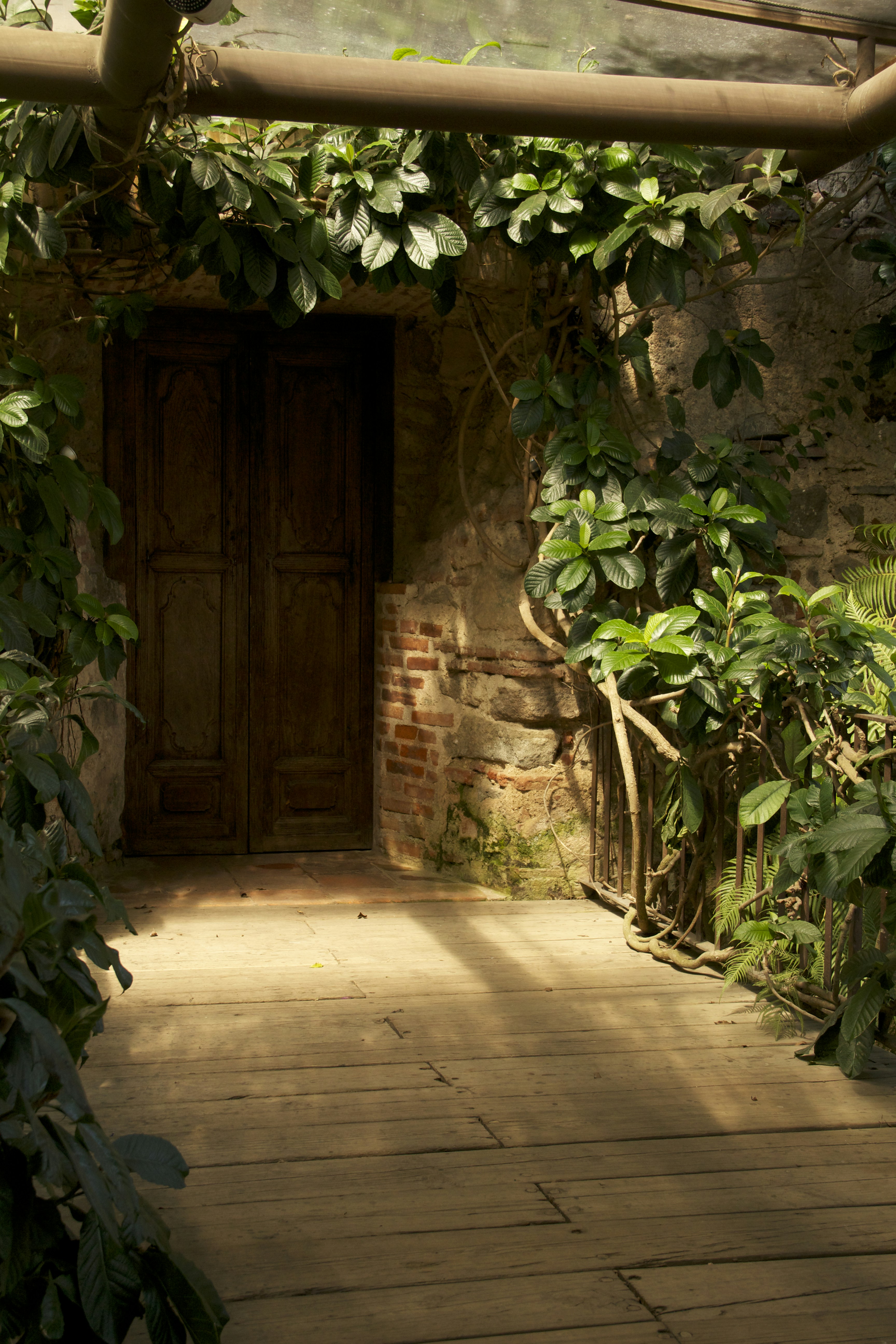 Hidden Doorway in the Sunlit Conservatory