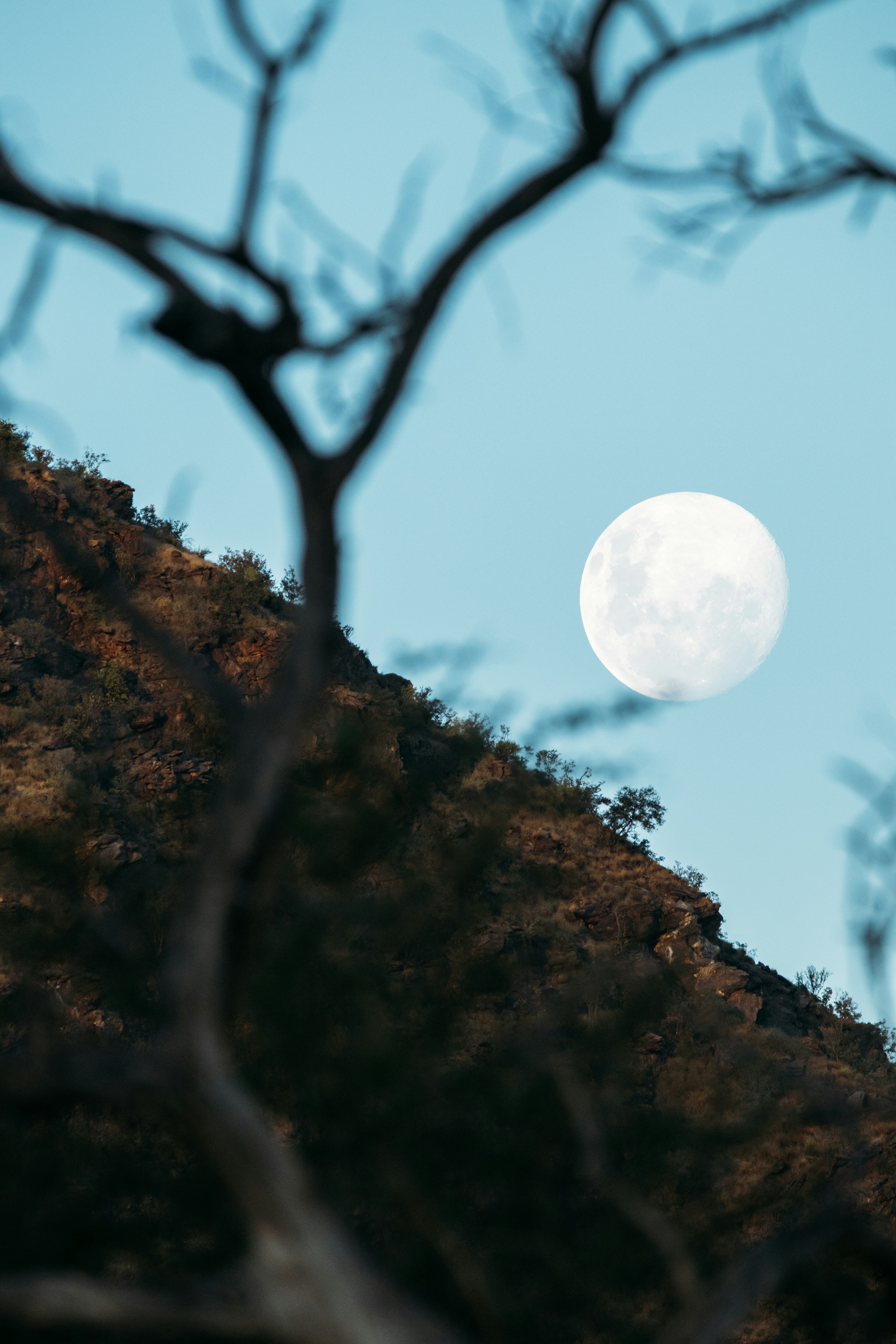 Moon Over Winding Ridge: A Nightfall Panorama