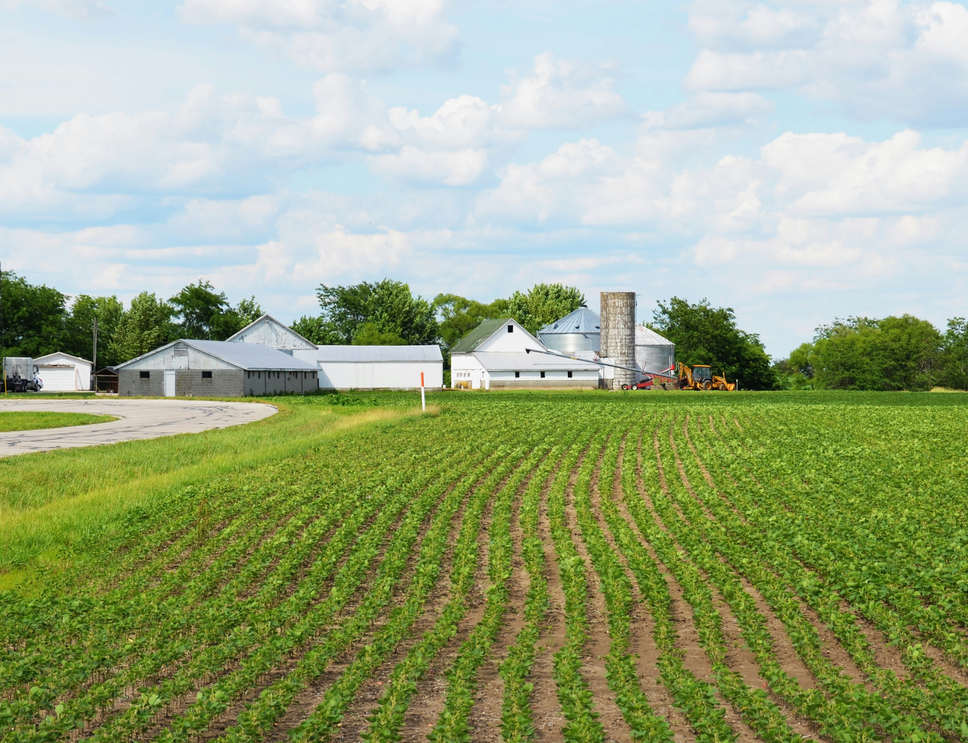 Farmstead in Blooming Rows under a Cloud-Streaked Sky