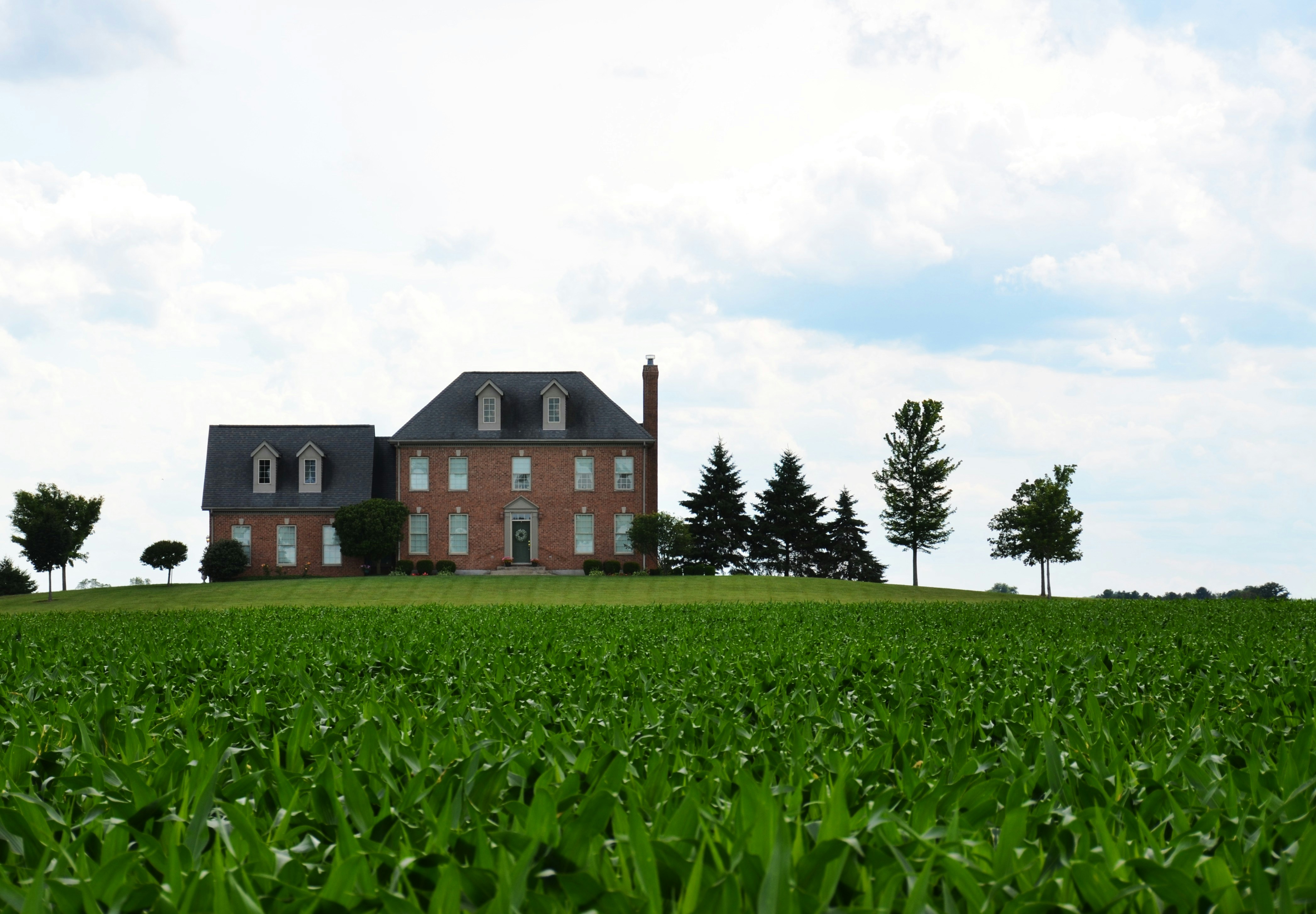 A Quiet Estate Rising from the Field