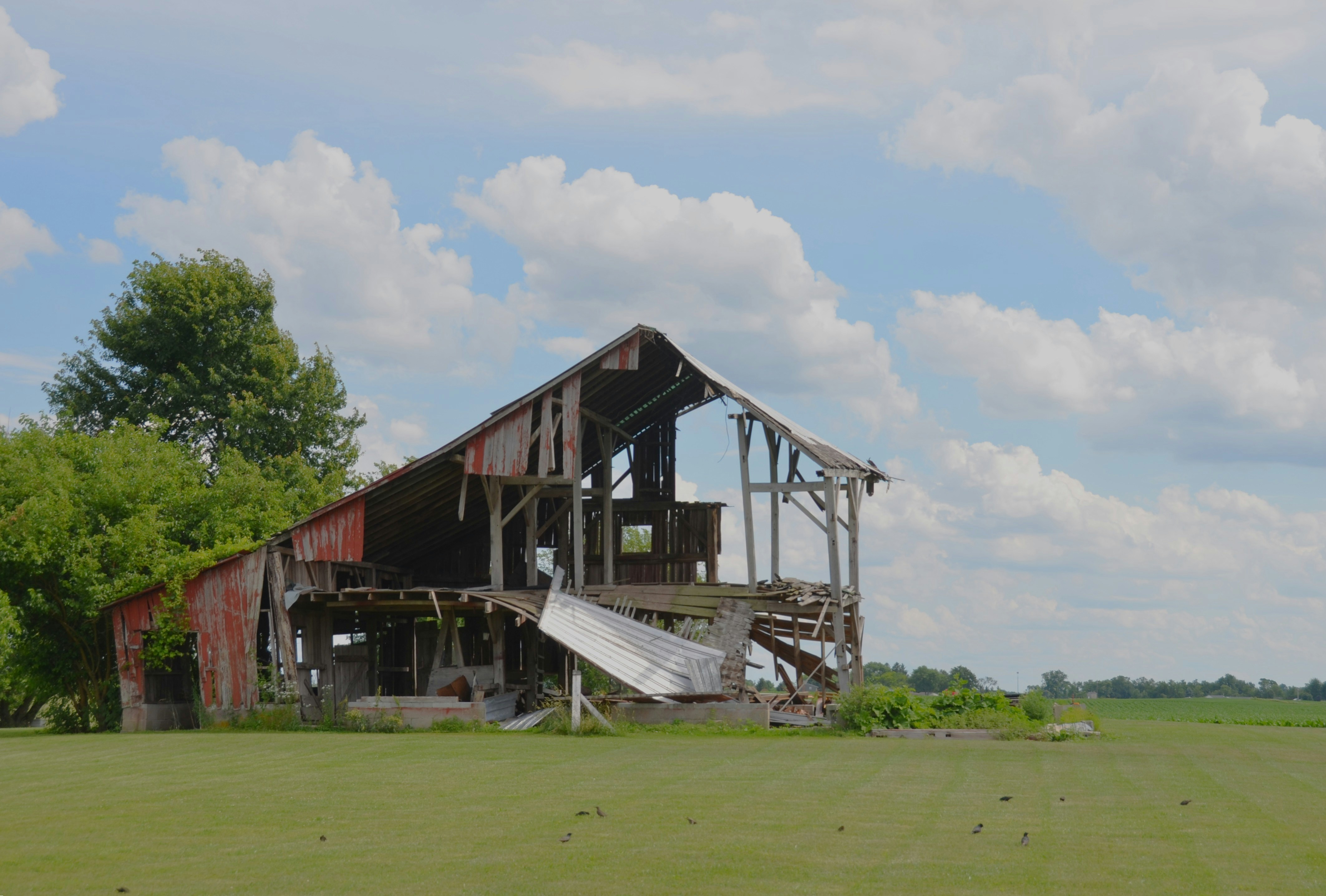 Sunlit Plains and a Weathered Barn in Quiet Farmfield