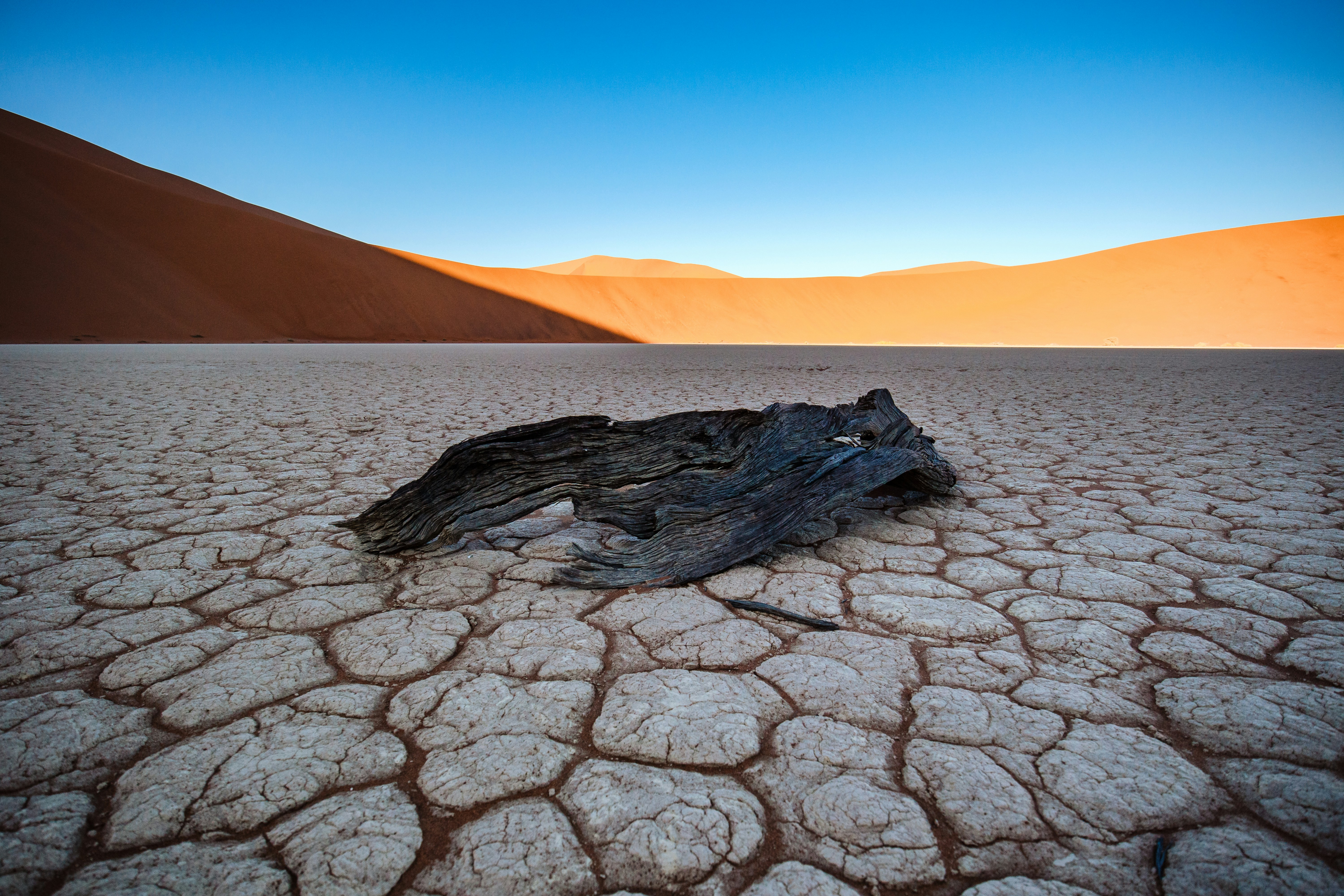 Cracked Earth and Distant Dunes: Echoes of a Desert’s Quiet