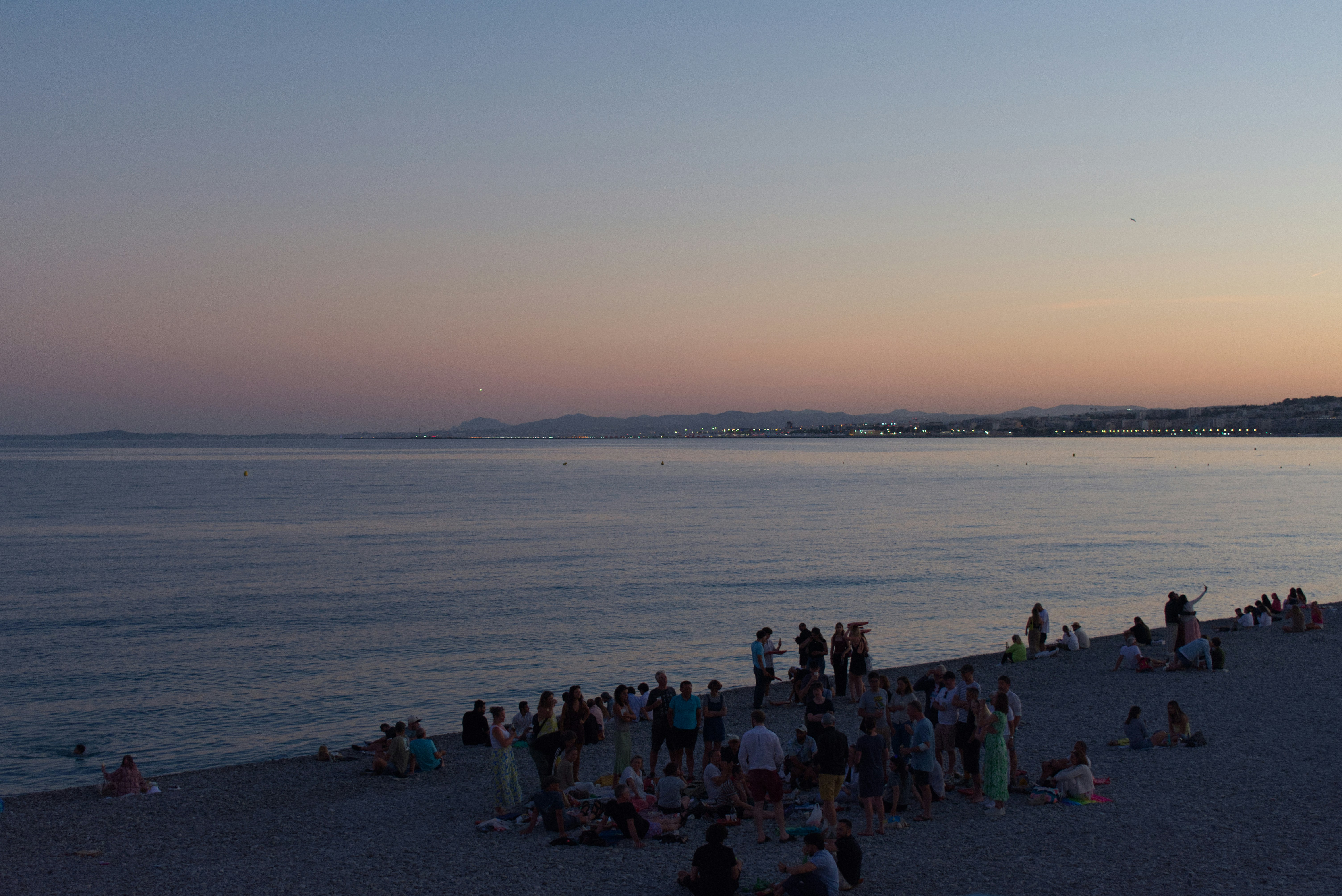 Twilight on the Shore: A Quiet Assembly Beneath the Dusk