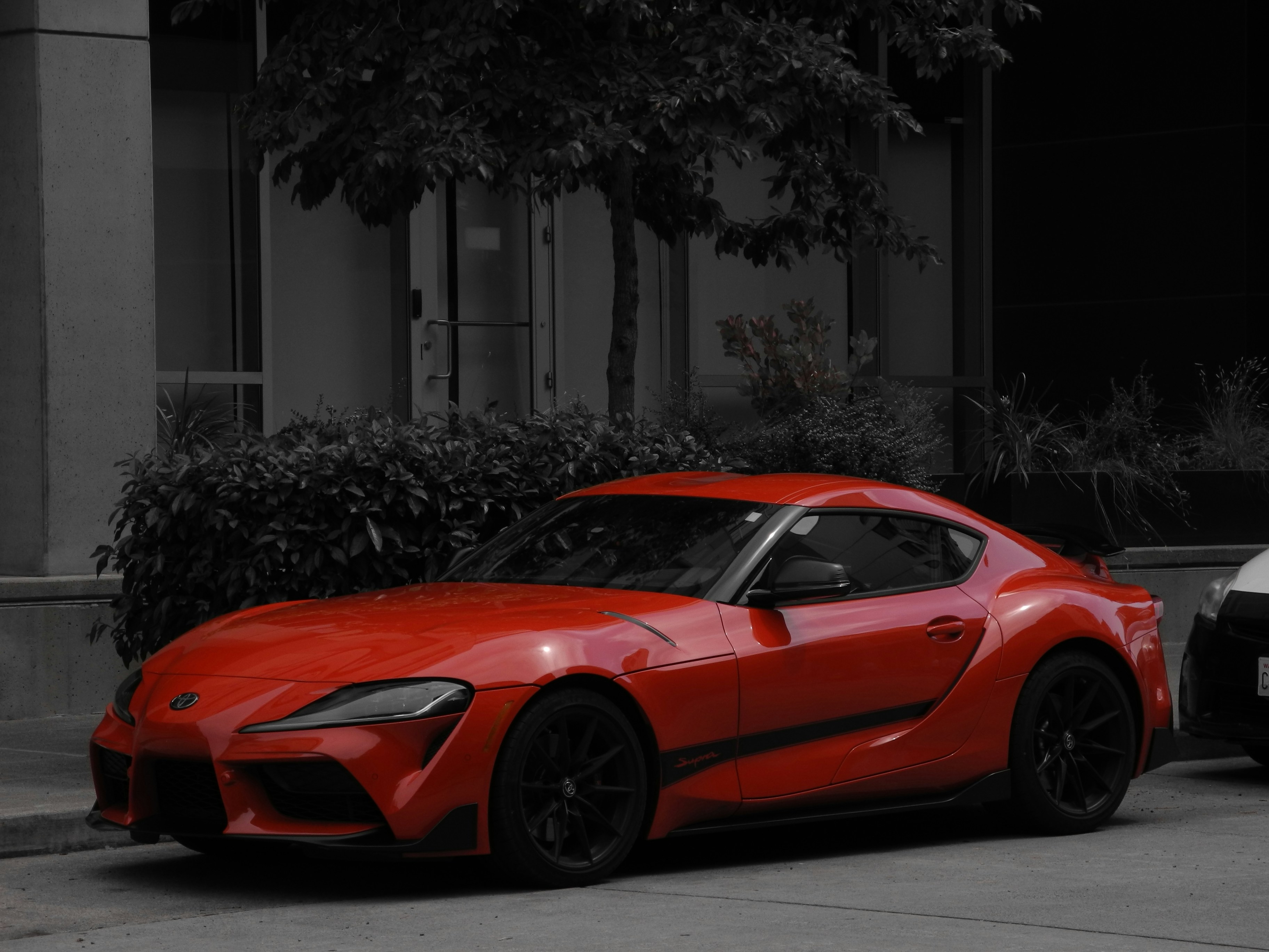 Red Sleekness: A Low-Slung Corvette Resting by the Urban Street