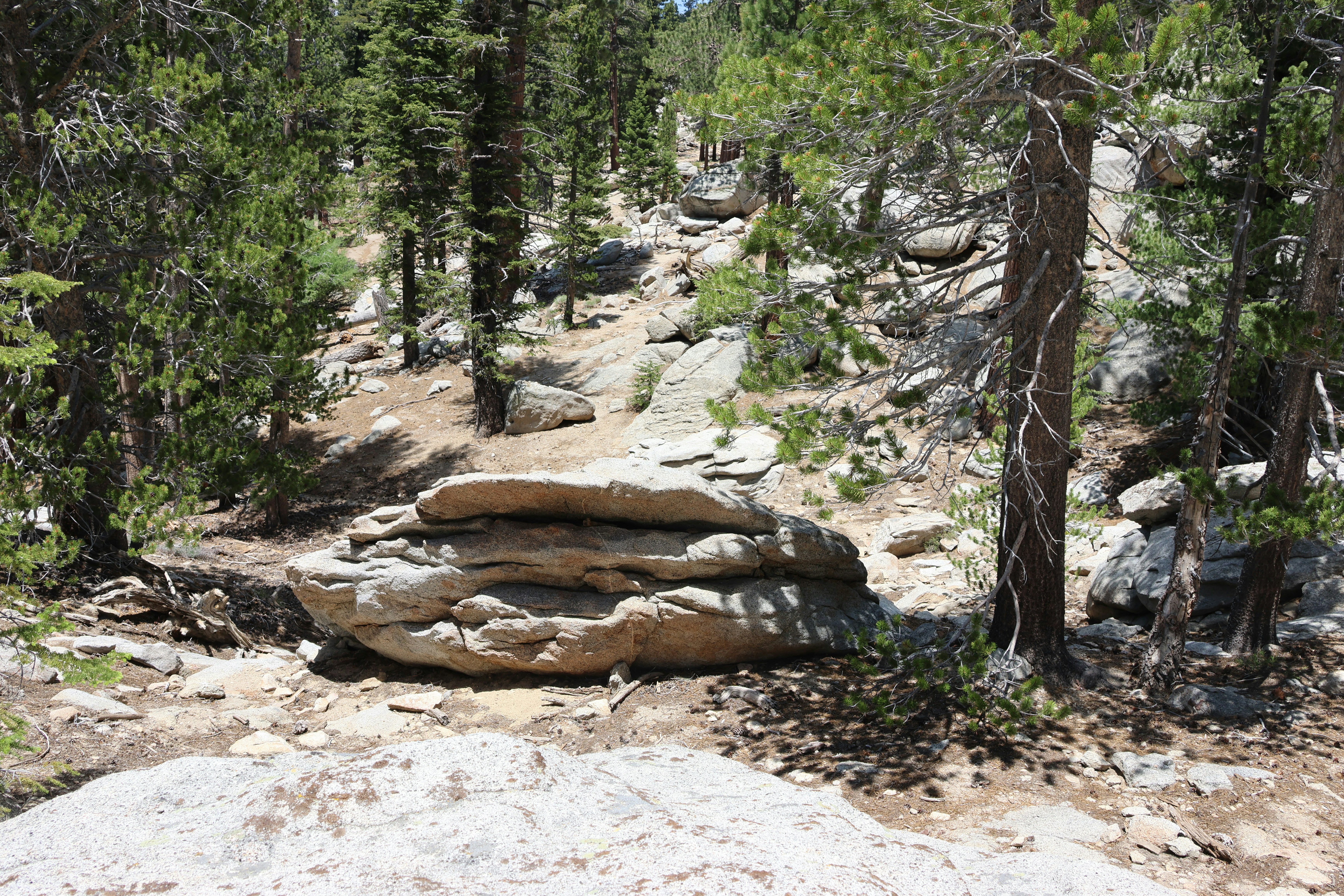 Balanced Ledge: Forest Rock Formation in midday light