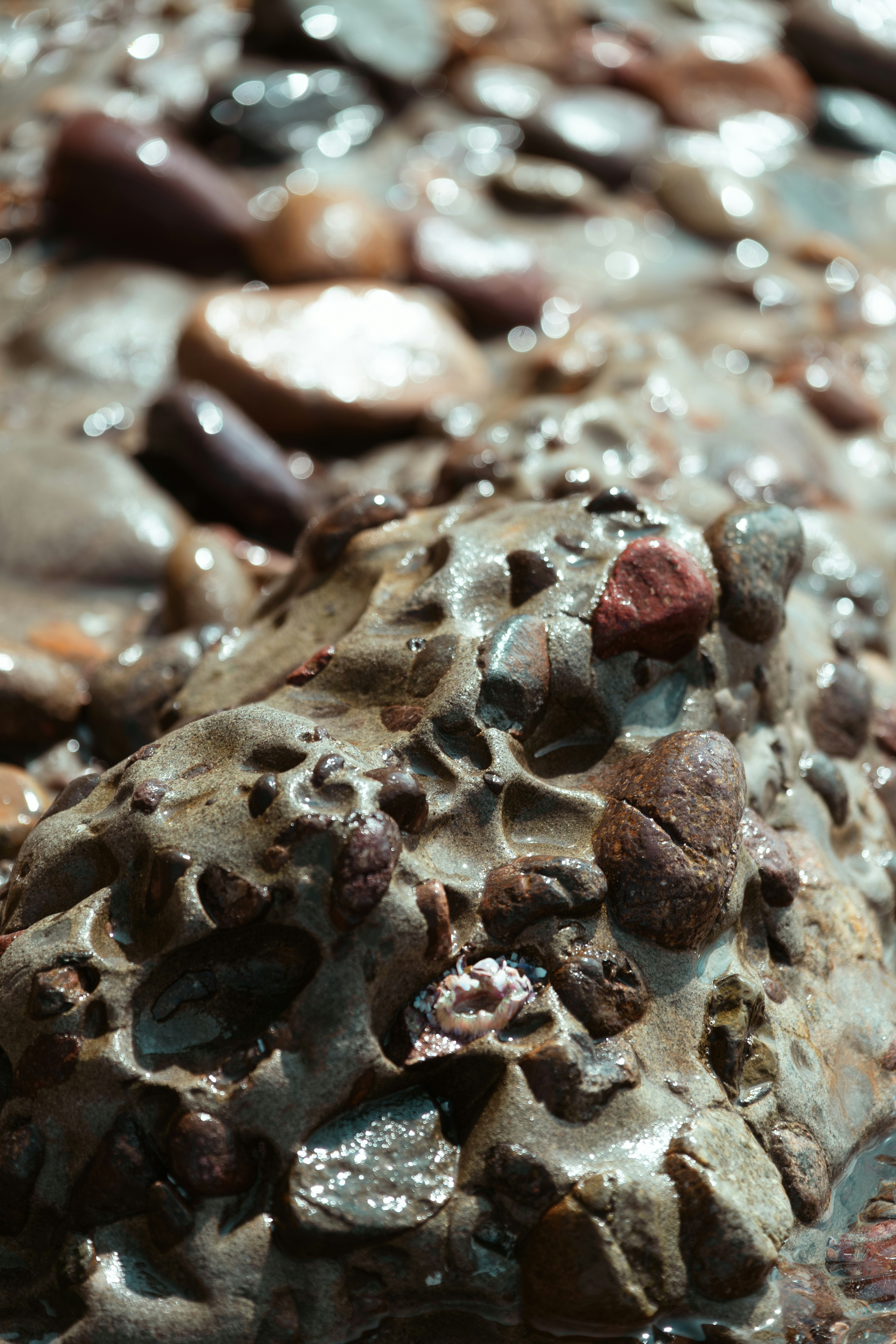 Pebble Mosaic: A Close-Up of Rock, Pebble, and Wet Texture