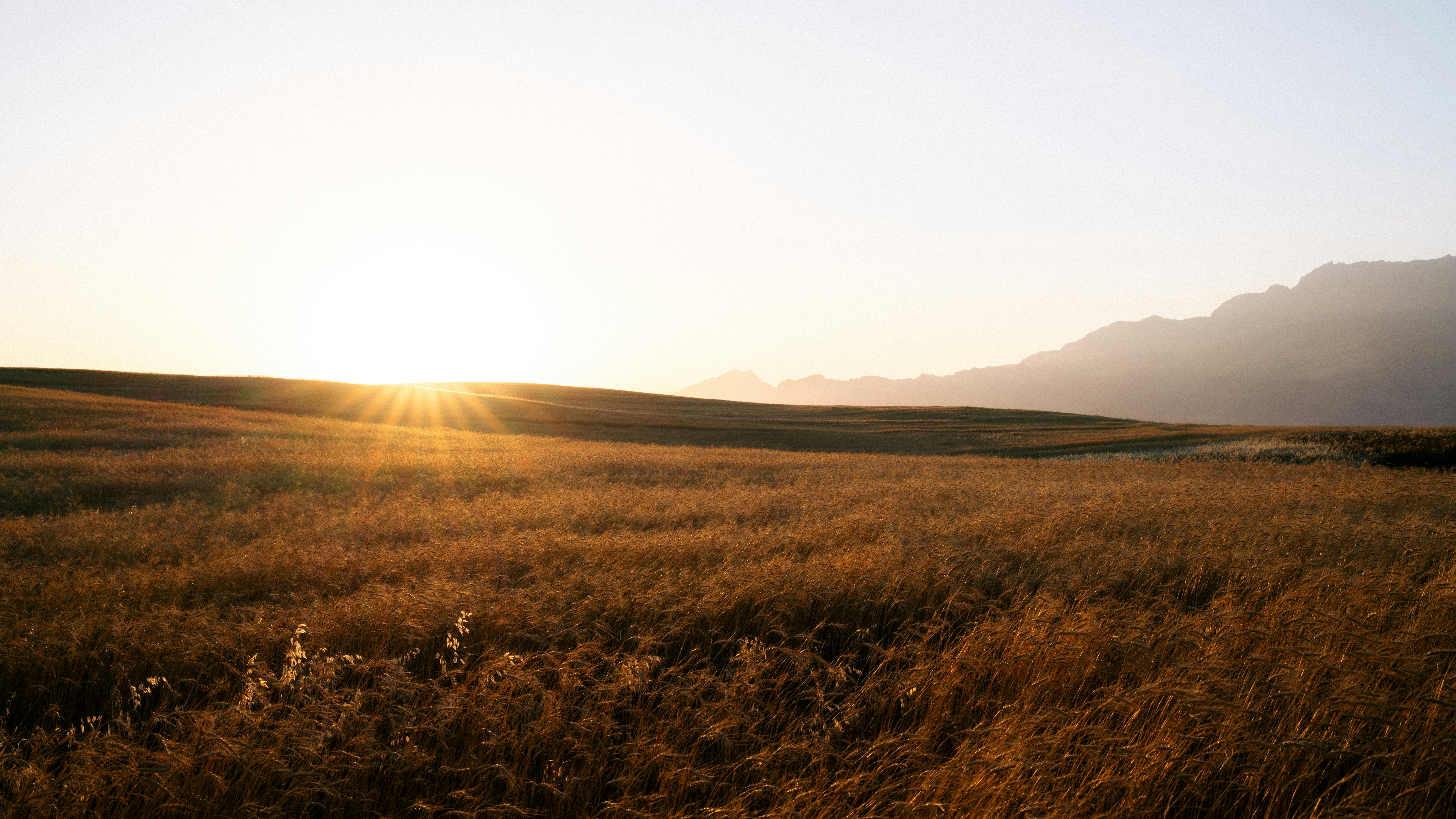 Low Sun over Golden Prairie at Dusk