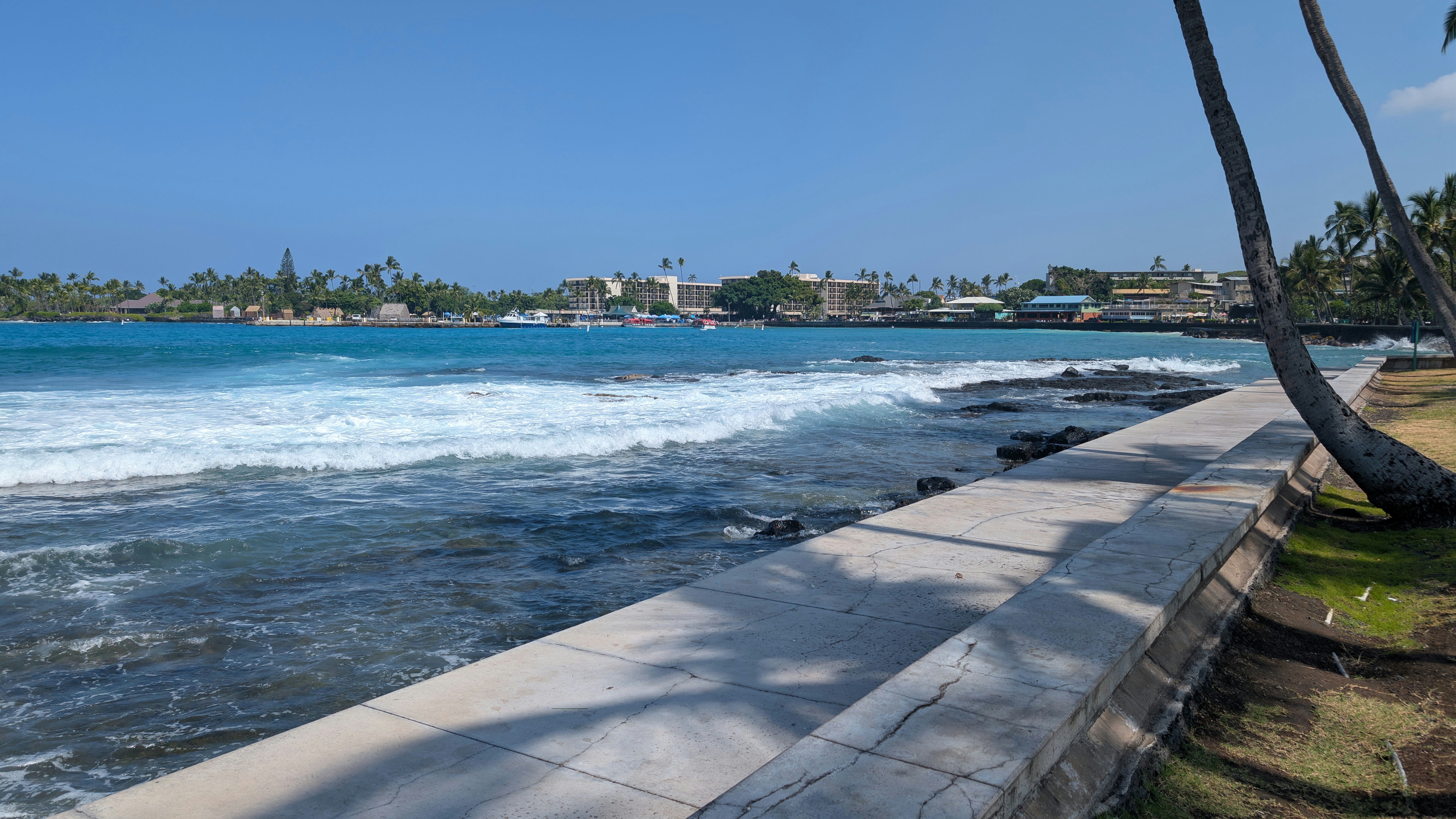 Sea Wall and Palm Shadows: A Coastal Morning Vista
