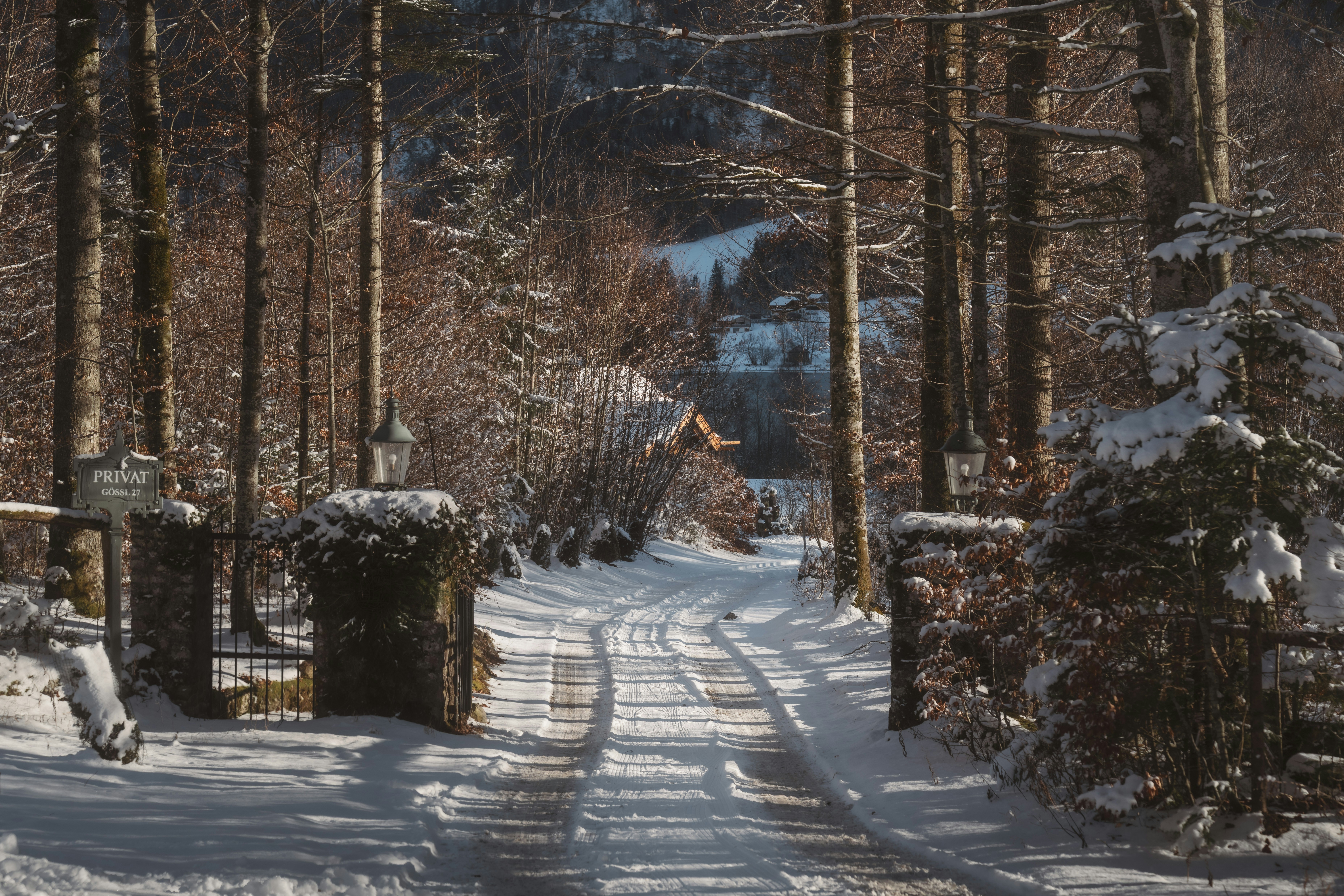 Snowy Private Gate Through a Forest Path