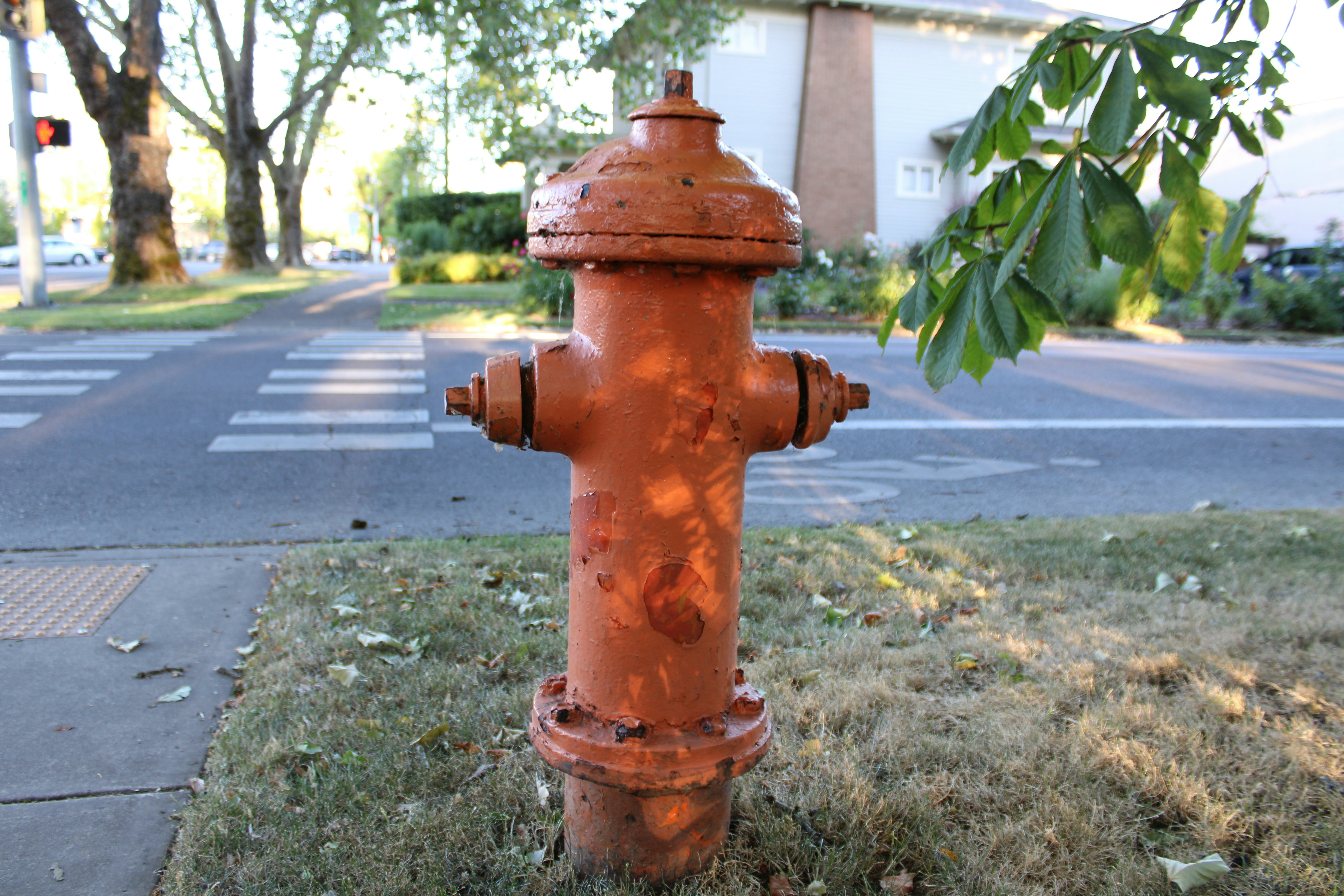 Rusty hydrant stands vigilant at a quiet street corner
