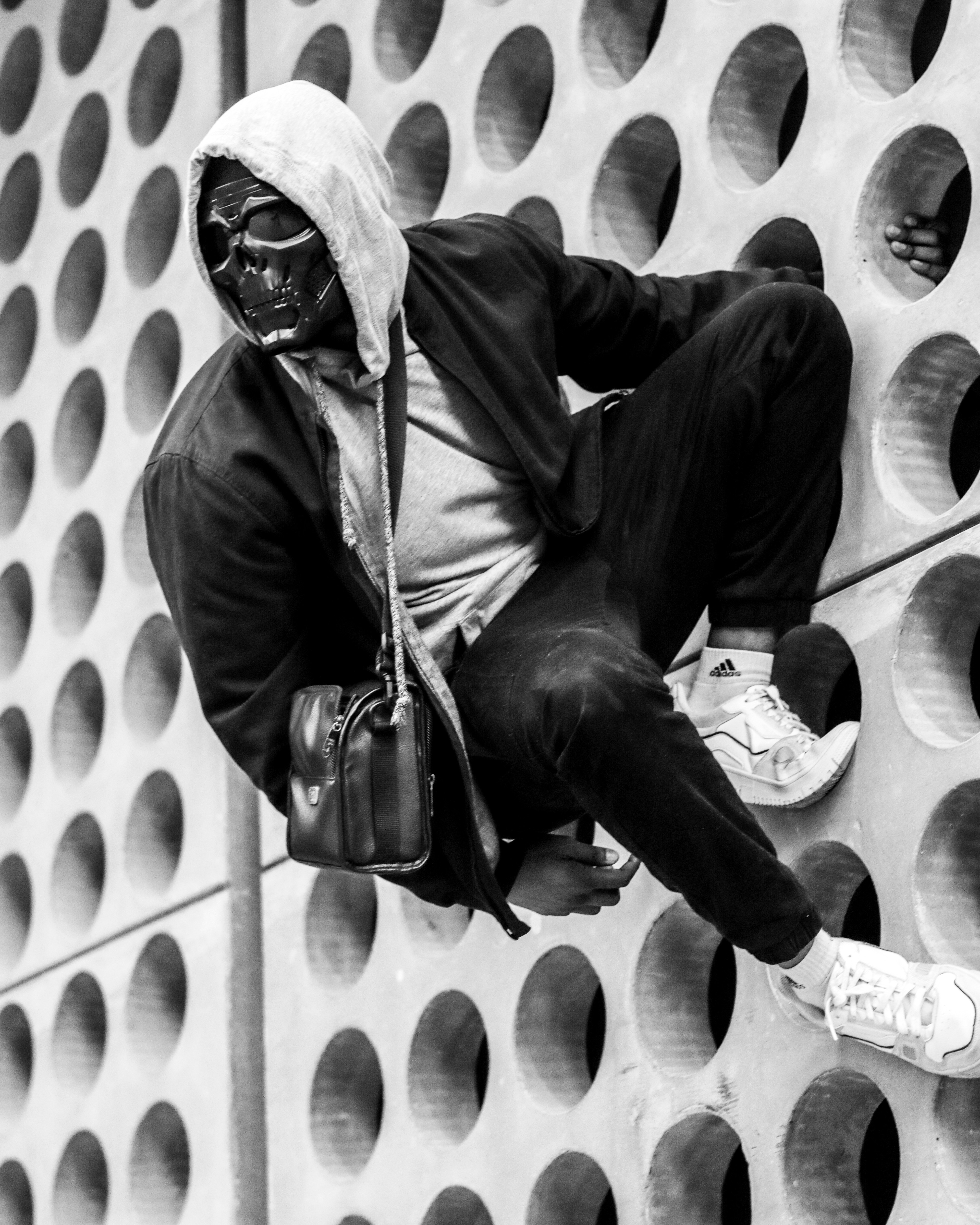 Hooded Acrobat on Circular Concrete Lattice