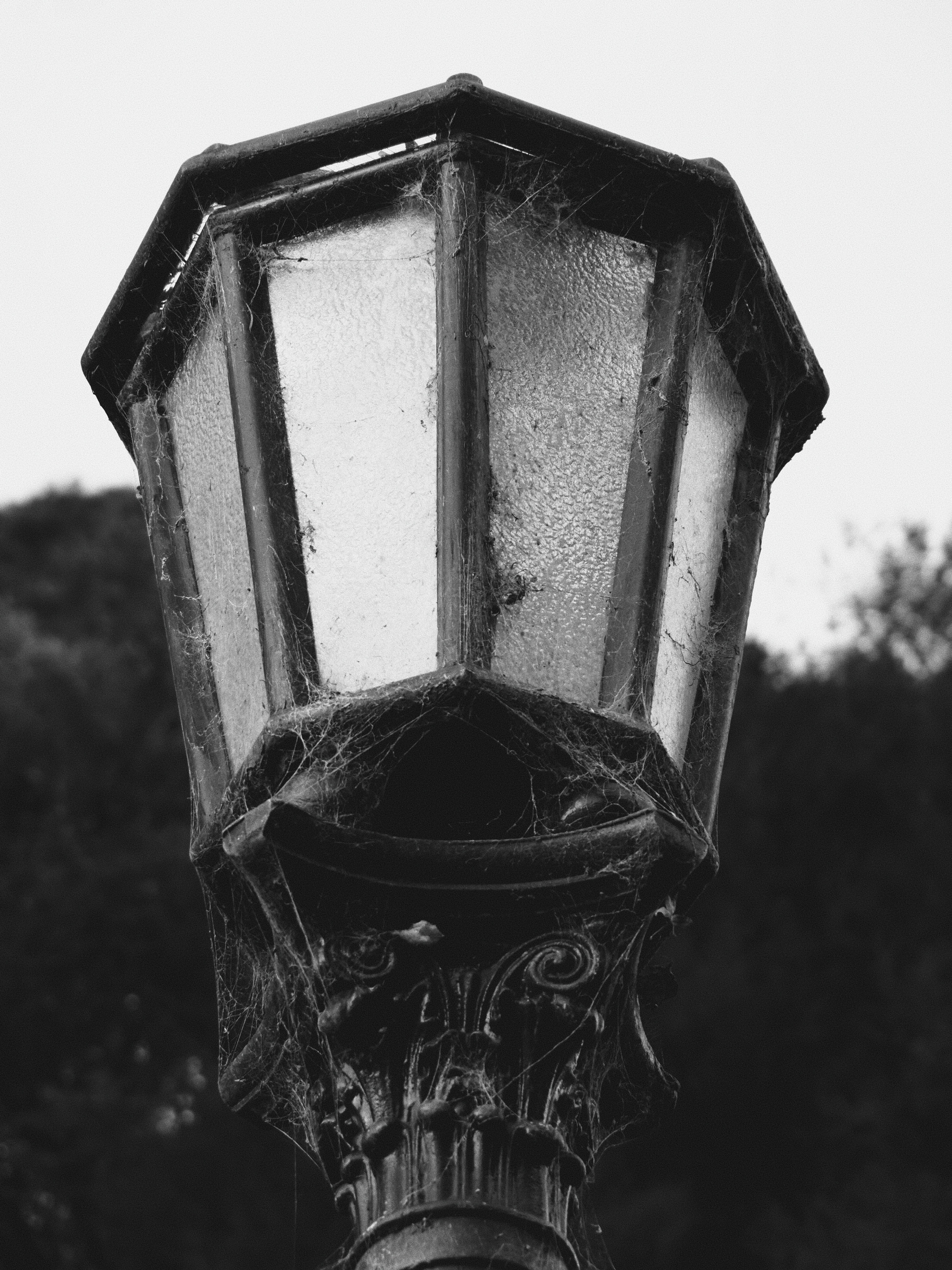 Cobwebbed Lantern in Monochrome Quiet