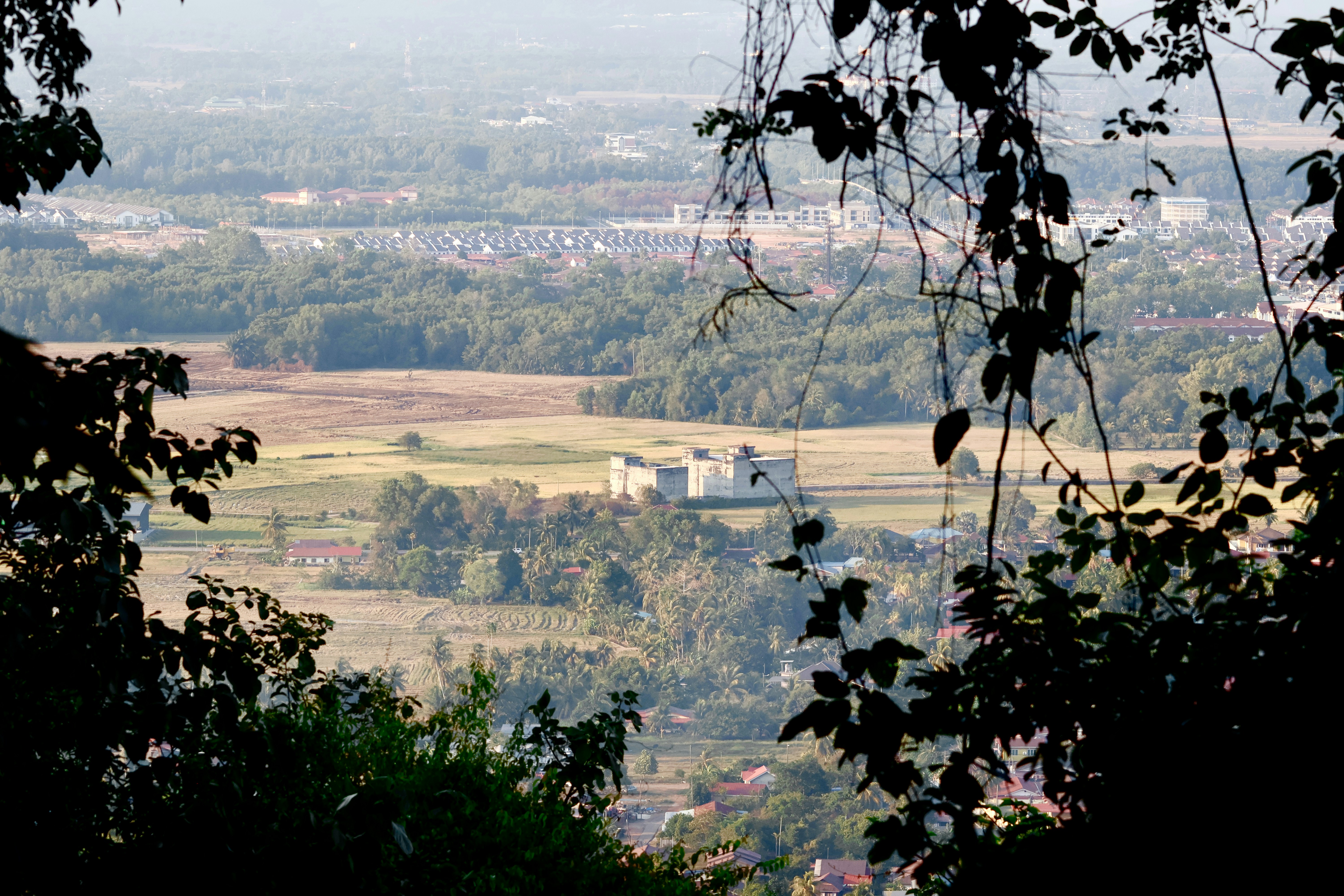 Hidden Valley Vista: Framed Fields Beyond the Foreground Fragments