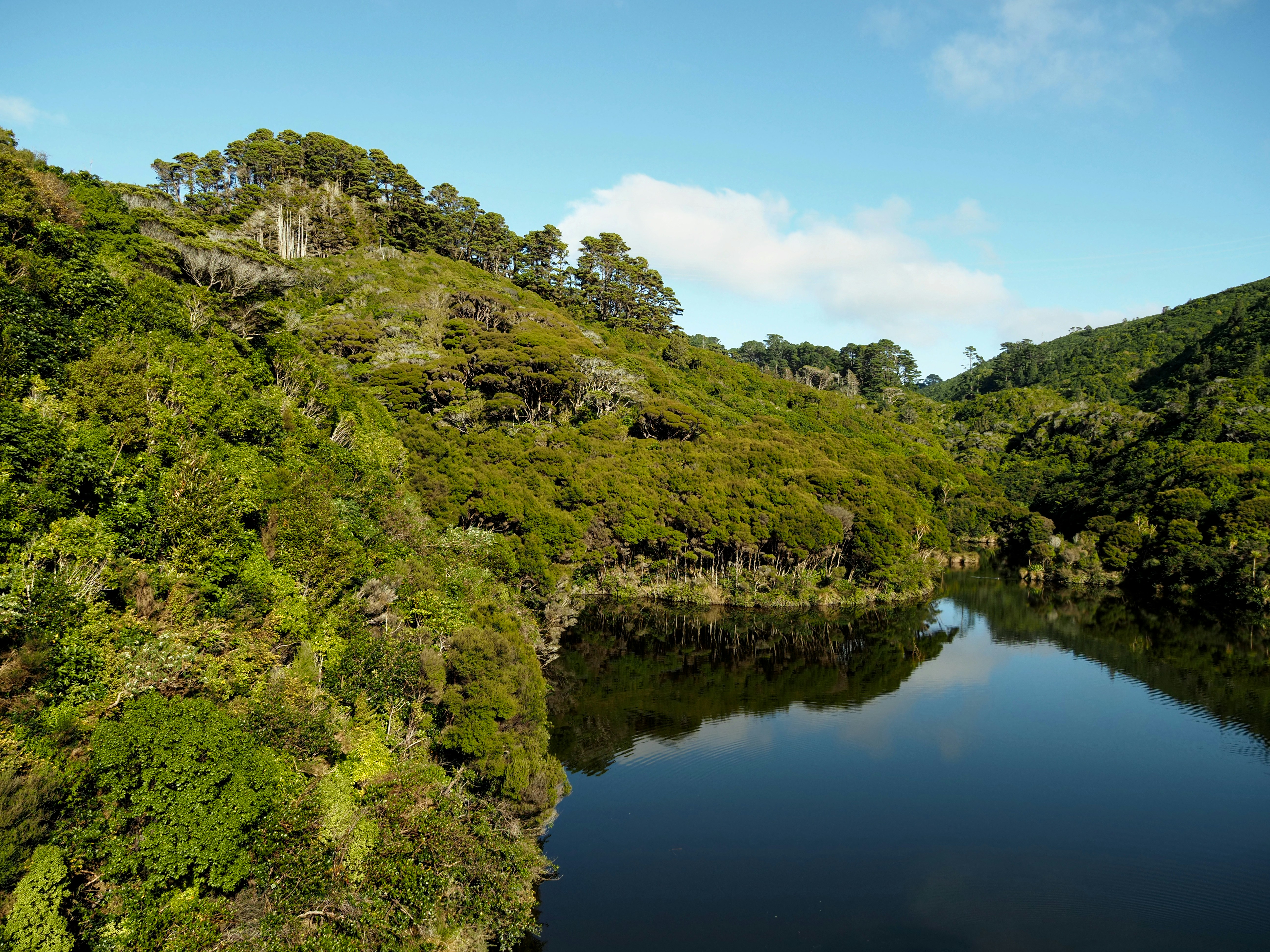 Verdant Gorge: A Quiet River Snaking Through Lush Hills