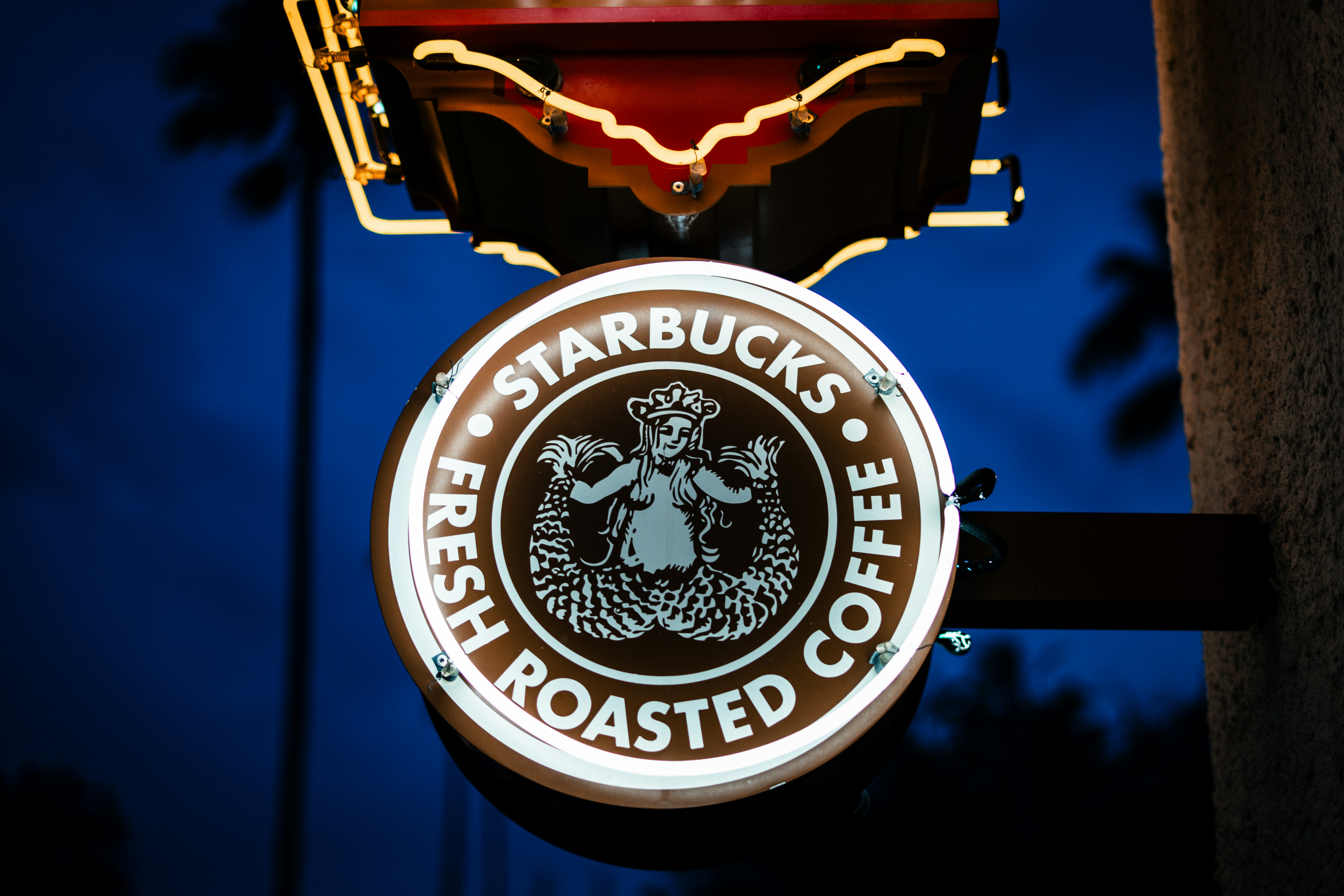 Neon Circle: Starbucks Sign Lit Against Dusk Sky