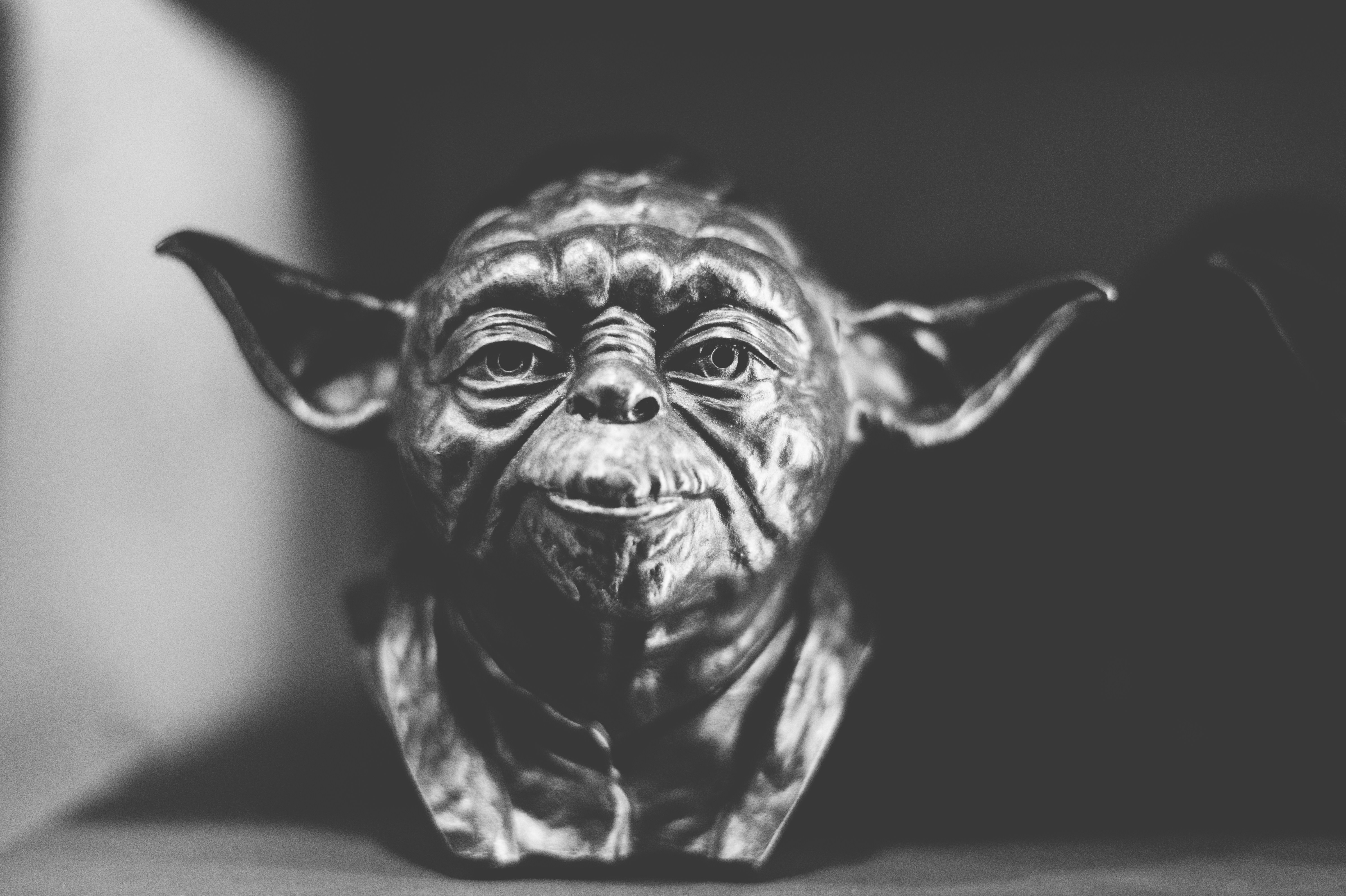 Tiny Totem of Wisdom: A Baby Yoda Plush Portrait in Monochrome