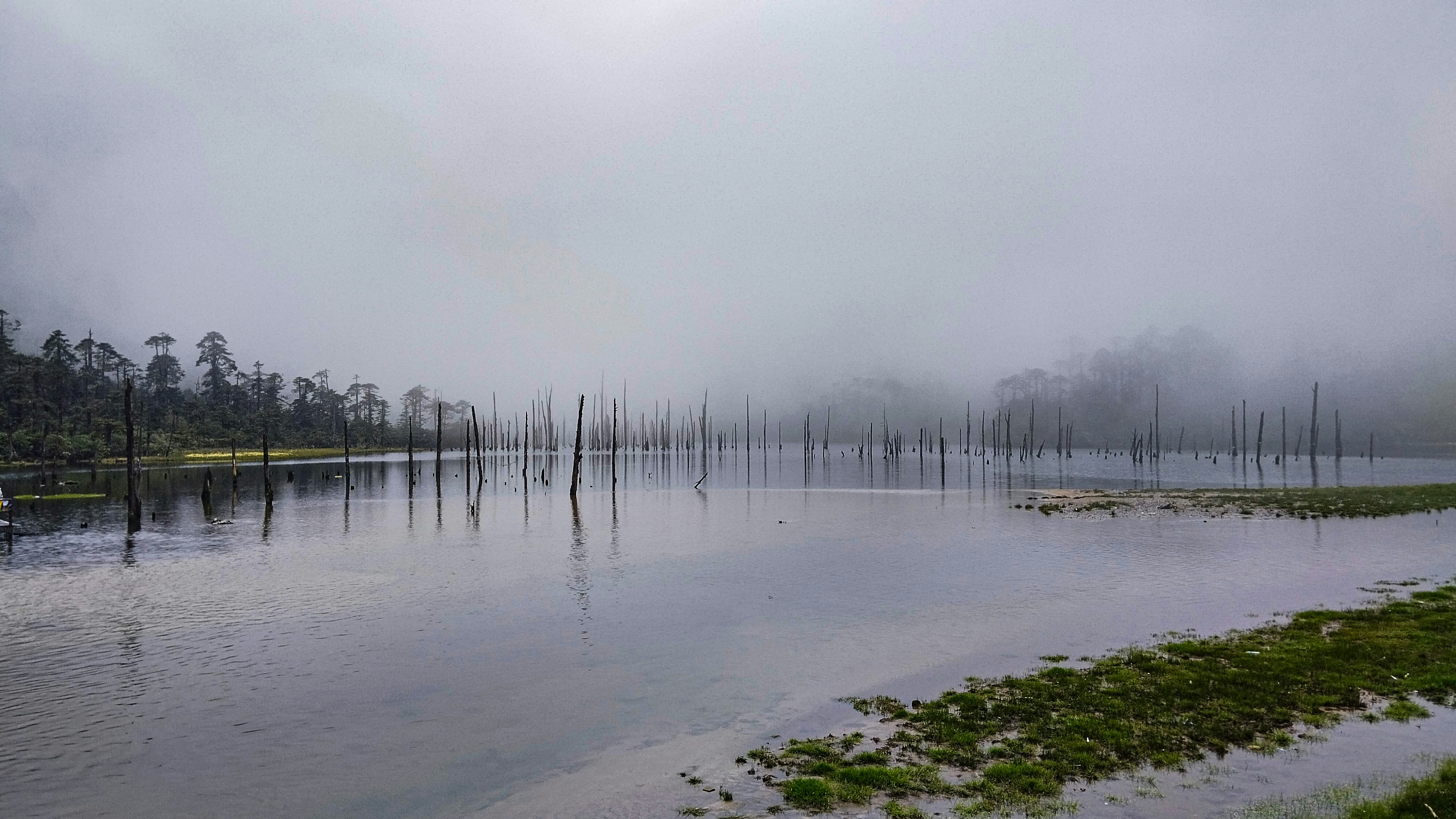 Low-lying marsh with calm water dotted by vertical poles; distant shoreline fades into fog above the reflective surface.