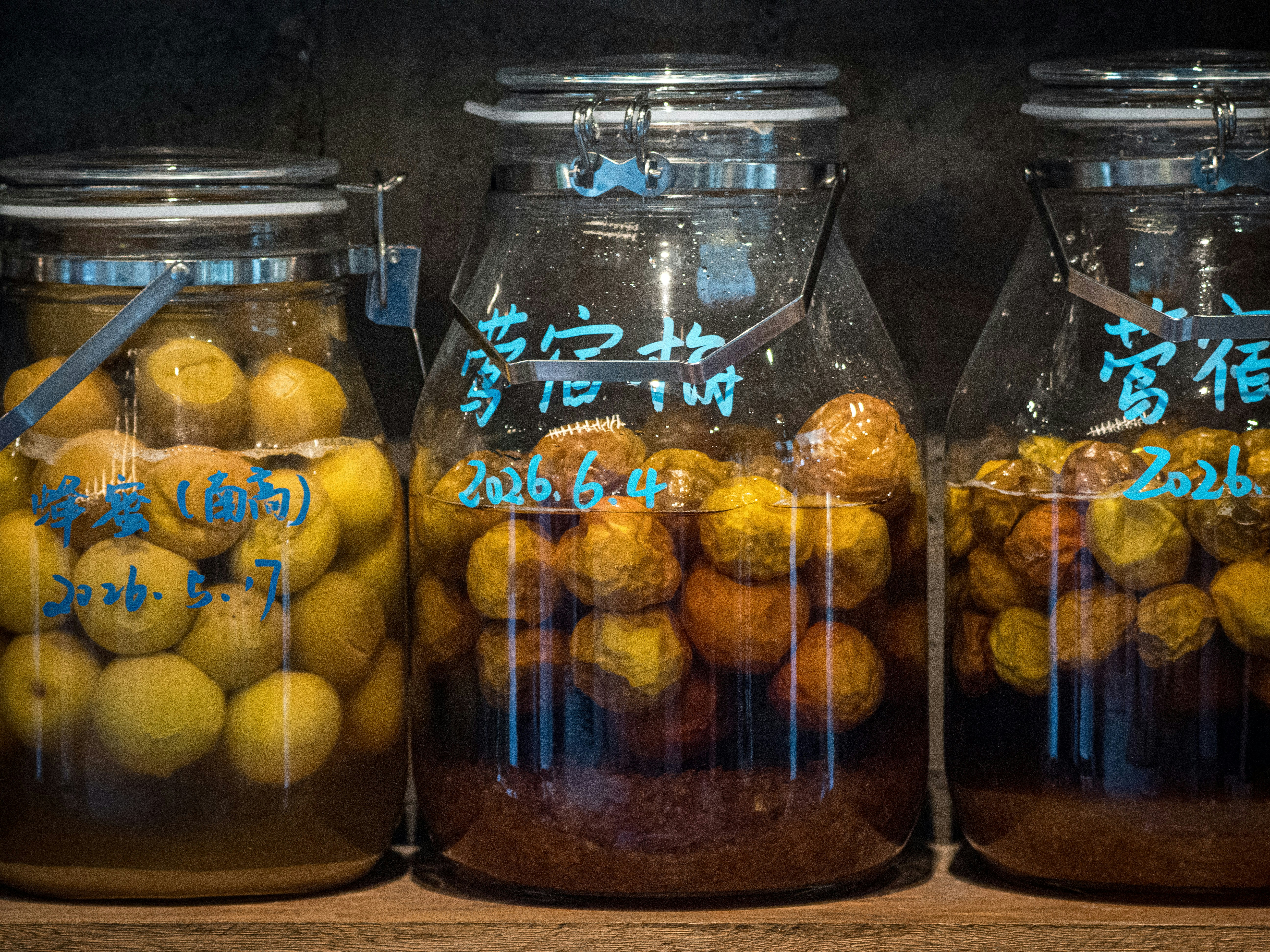 Amber Jars of Preserved Citrus: A Row of Time-Stamped Preservation