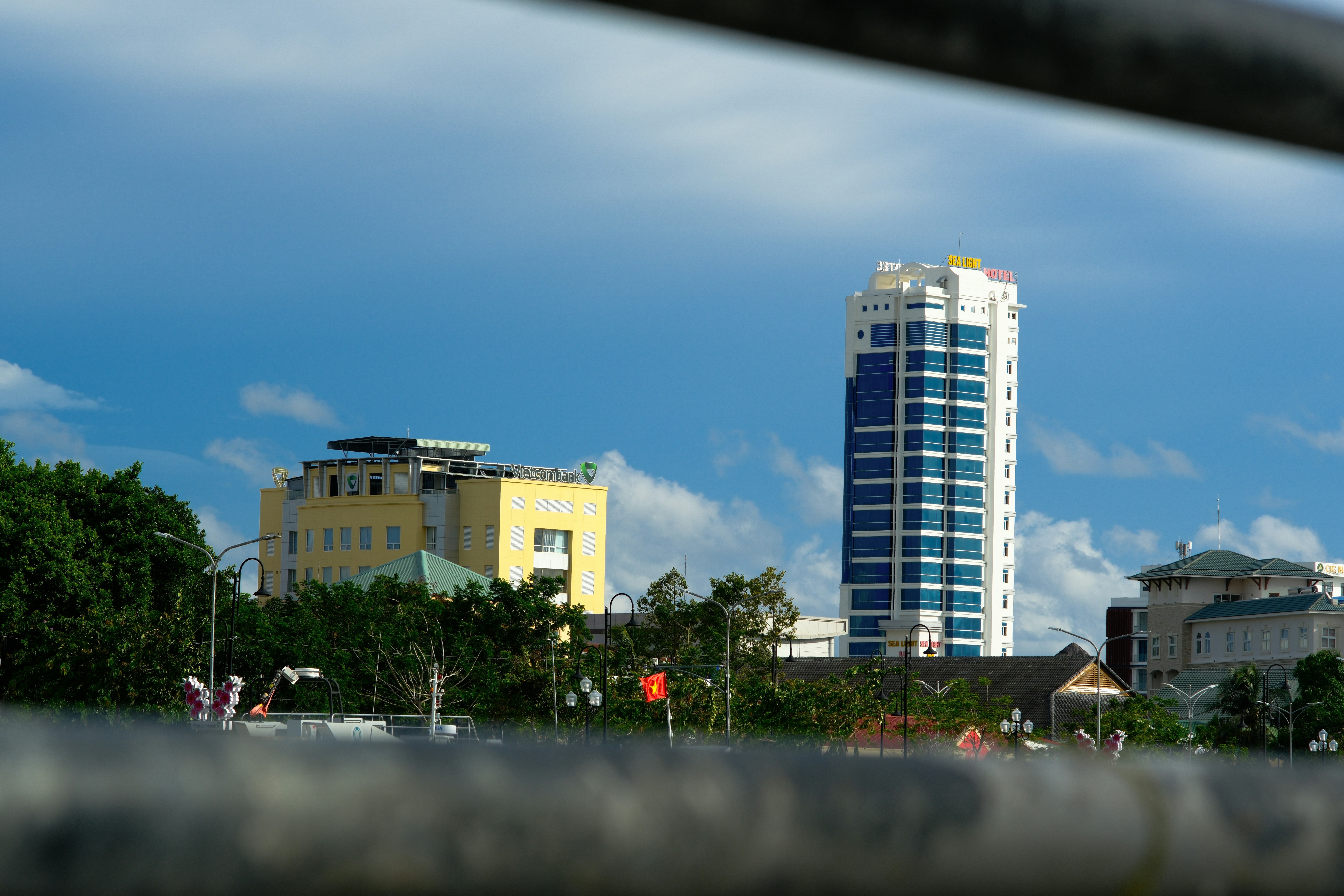 Skyline in Focus: A Quiet City Rise Framed by Foreground Blur