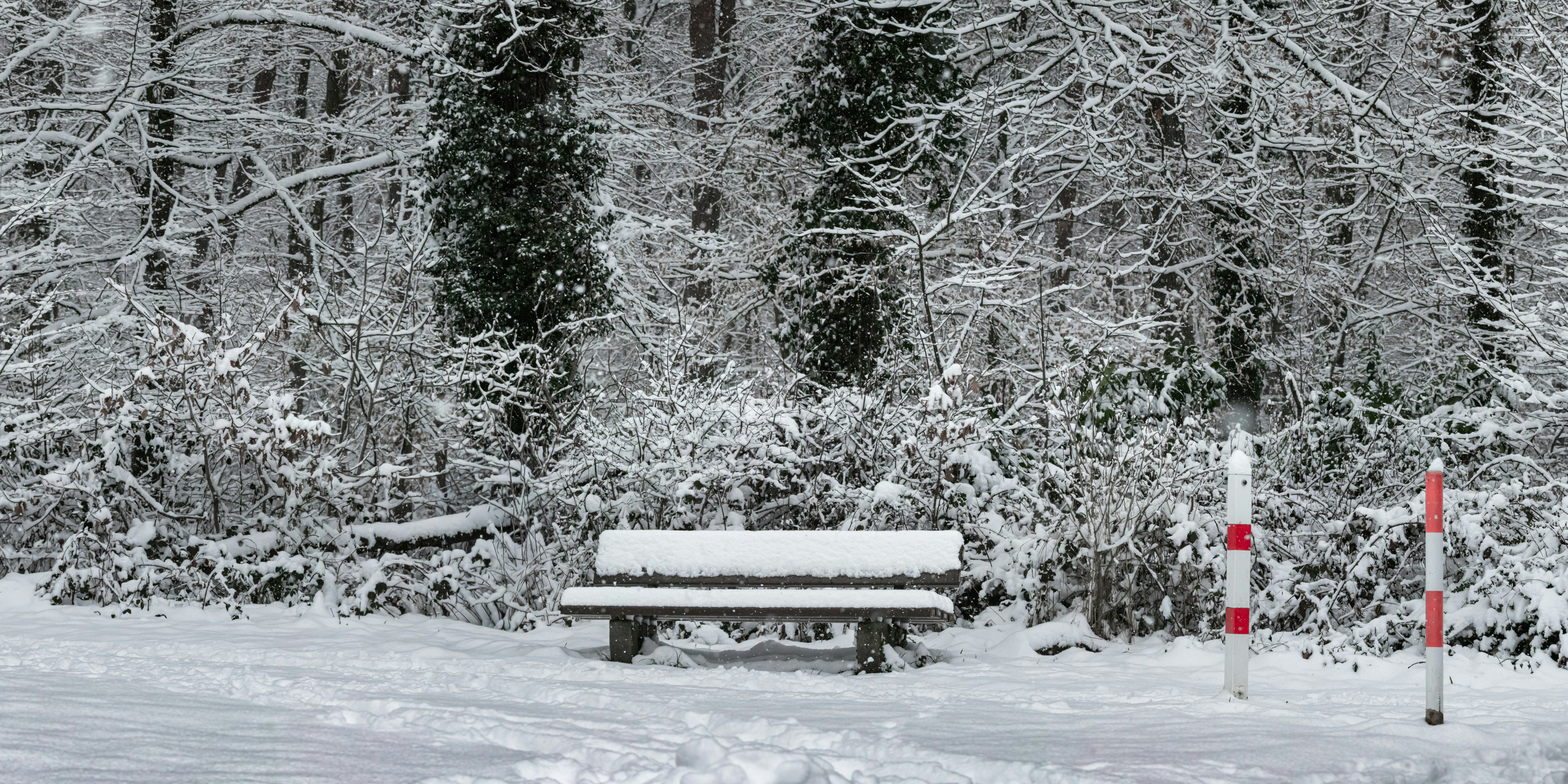 Snowbound Bench in a Quiet Winter Corridor