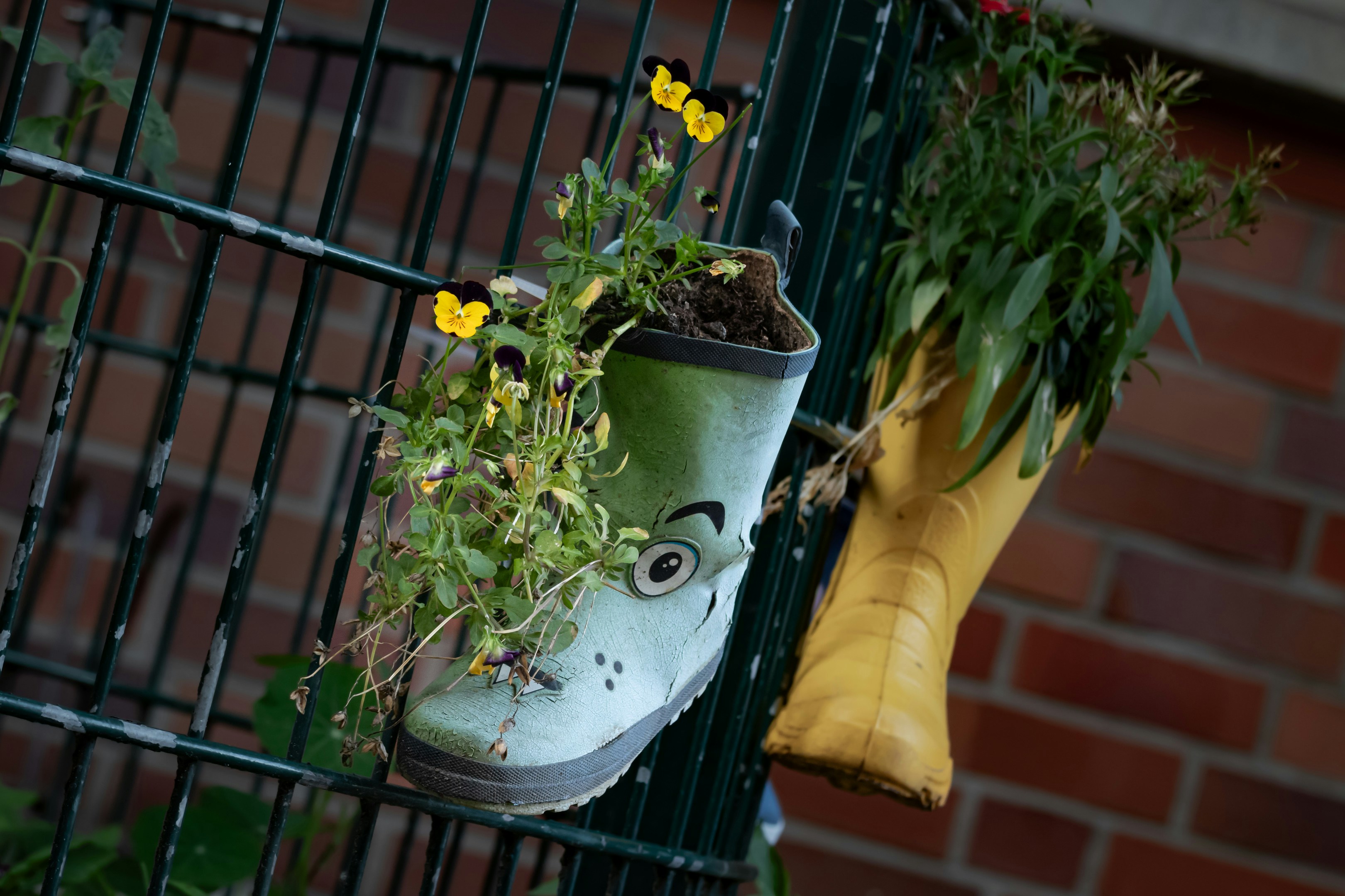 Whimsical planter in a weathered grid garden