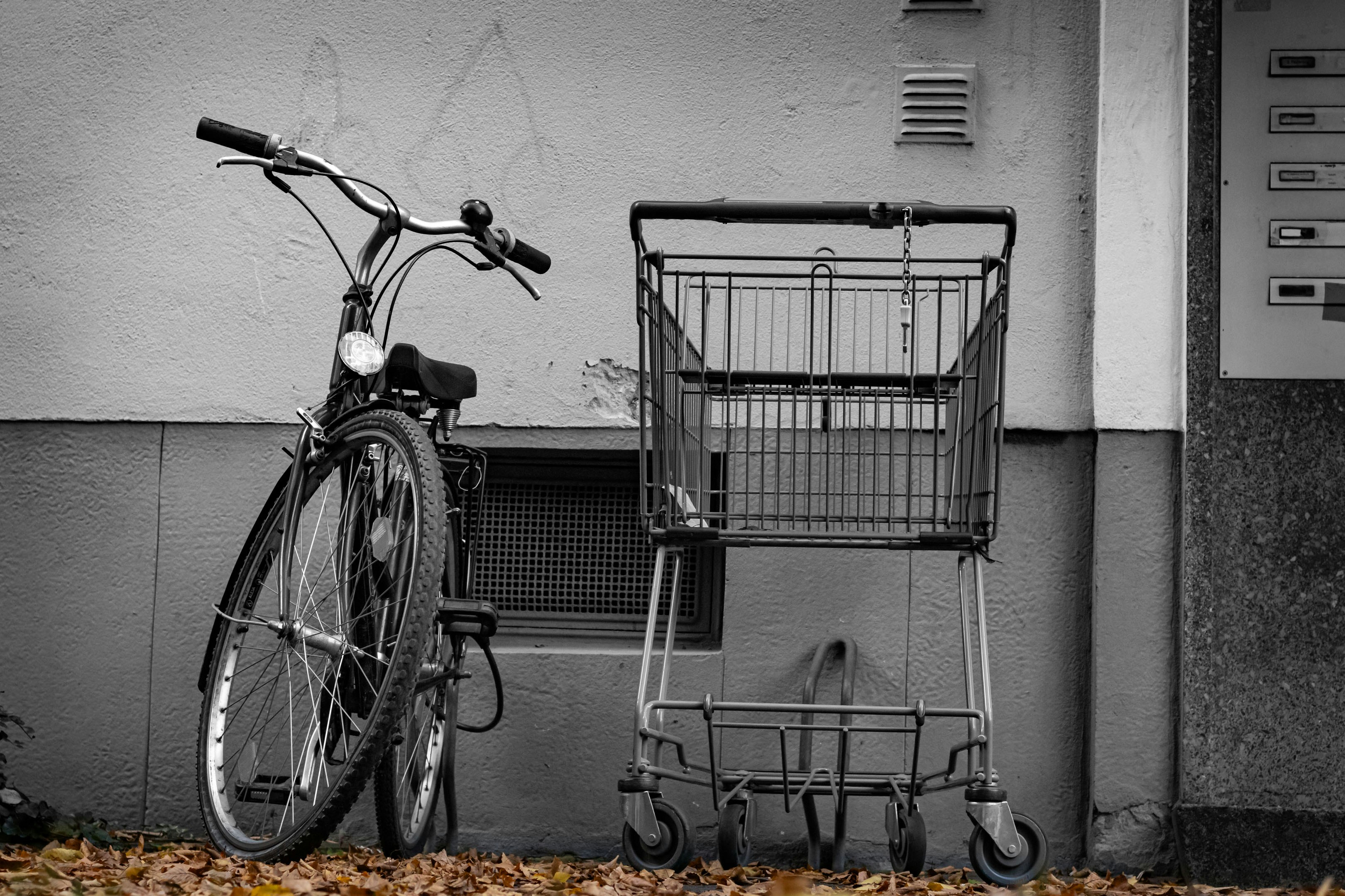 Echoes of the Street: Bicycle and Shopping Cart in Quiet Mono